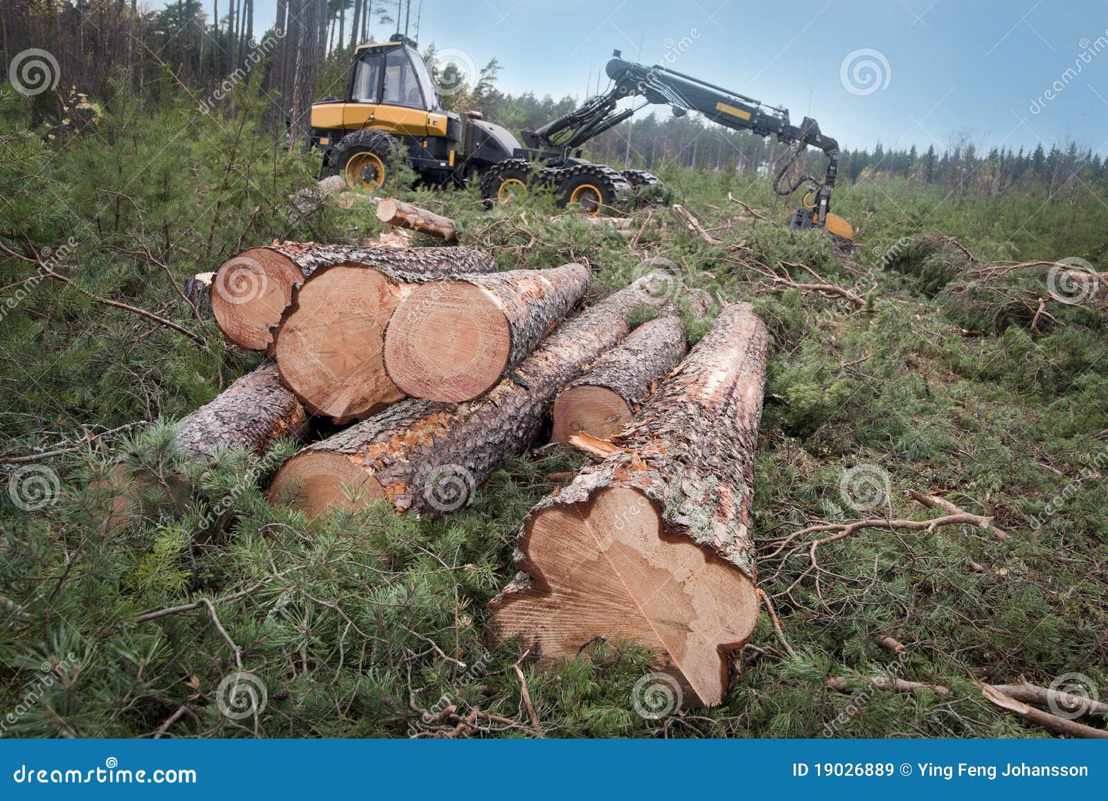 Harvesting timber stock image. Image of scandinavia, agriculture - 19026889