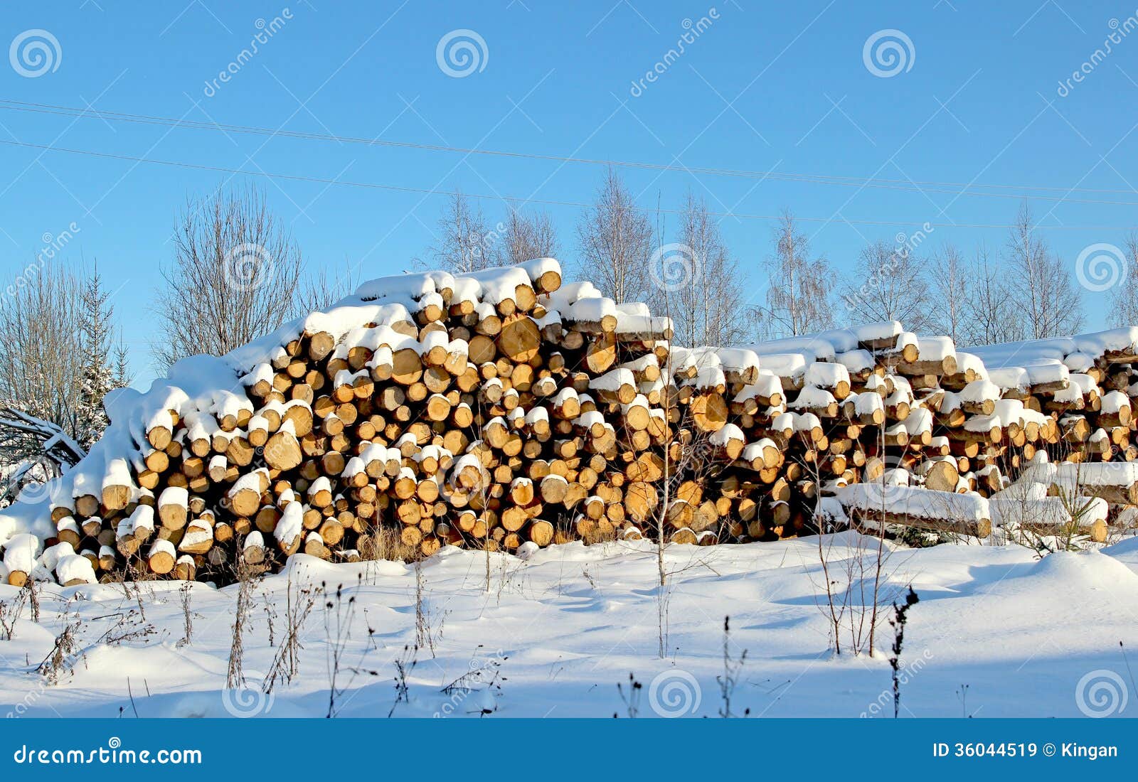 Harvesting Timber Logs in a Forest in Russia Stock Image - Image of ...