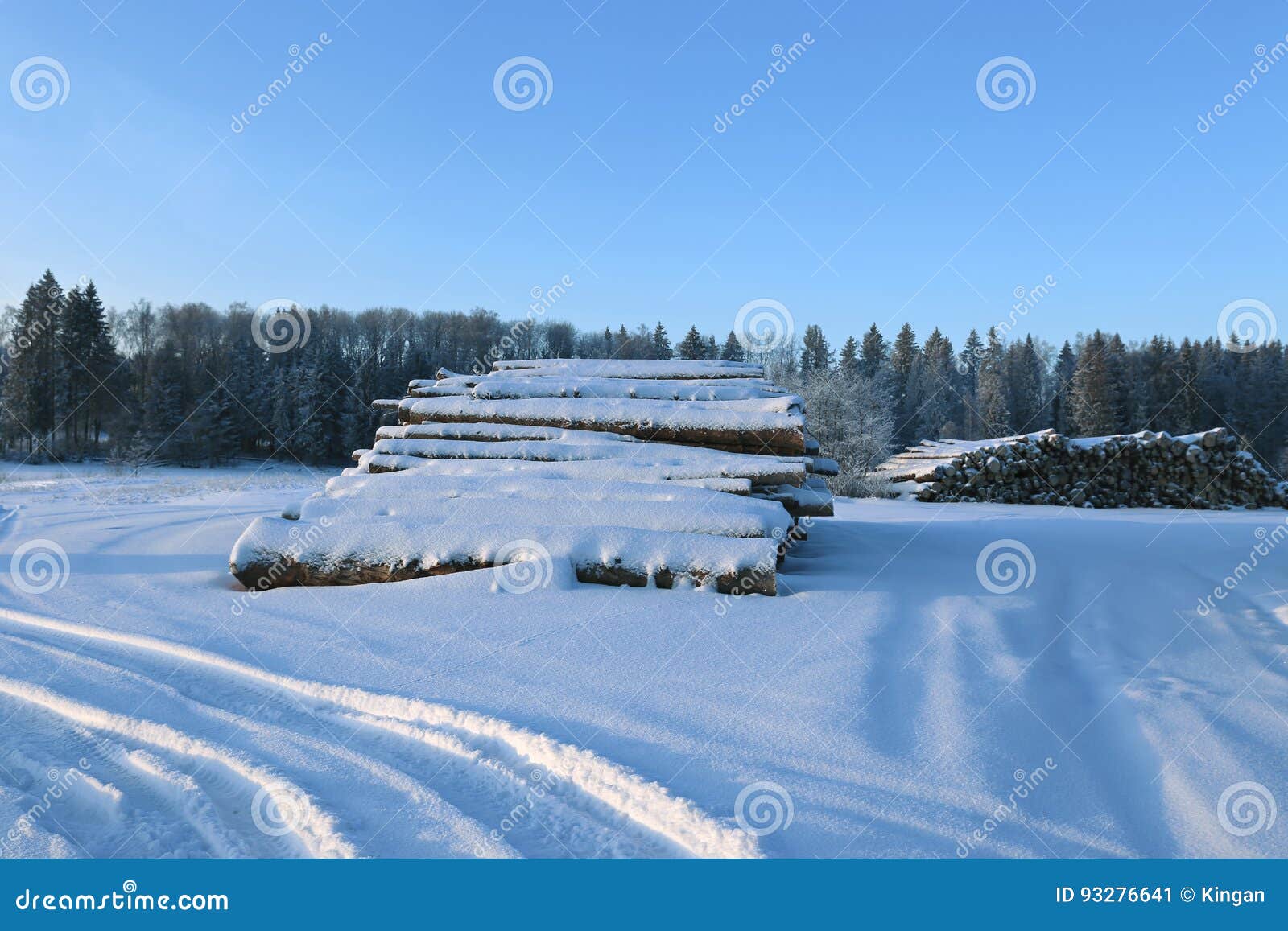 Harvesting Timber Logs in a Forest Stock Image - Image of frozen ...