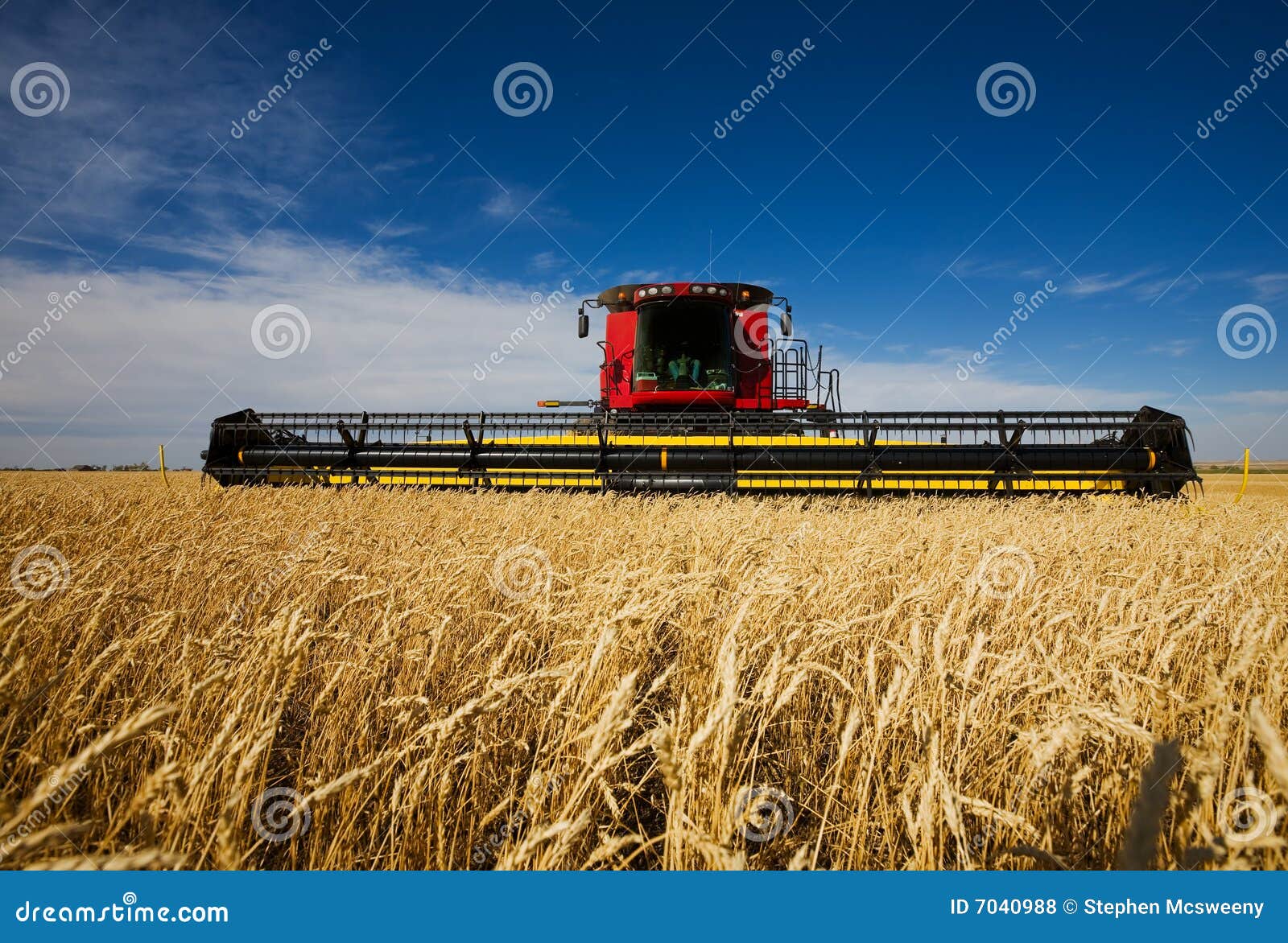 Wheat Harvest - Collage Royalty-Free Stock Photography | CartoonDealer ...