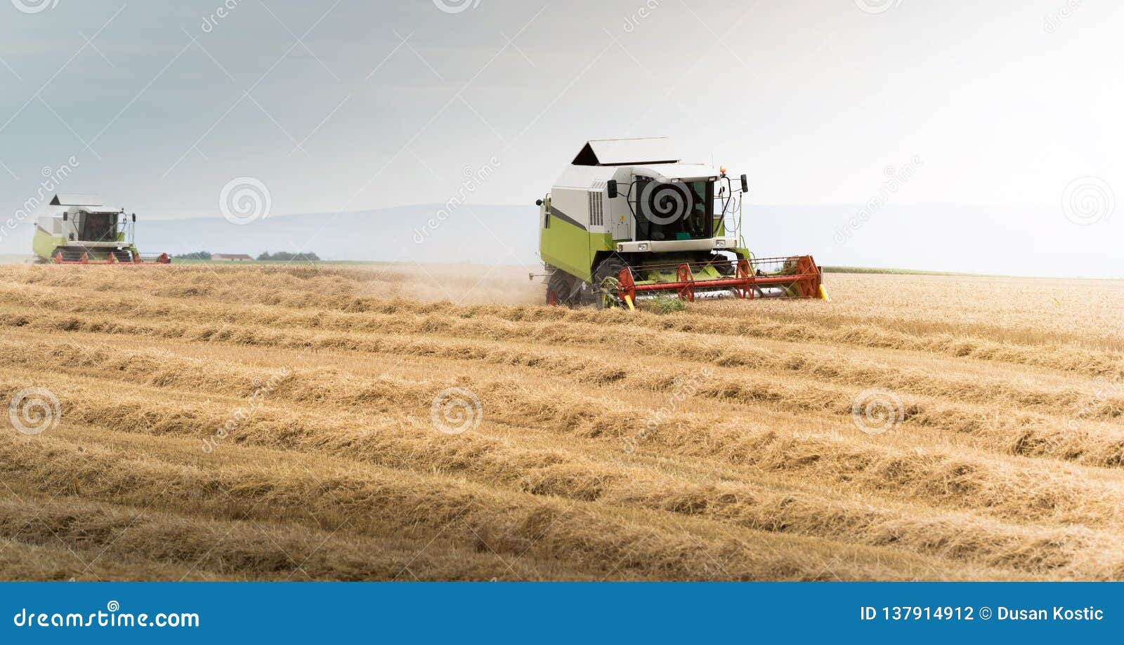 Harvesting of Wheat Field with Combine Editorial Photography - Image of ...