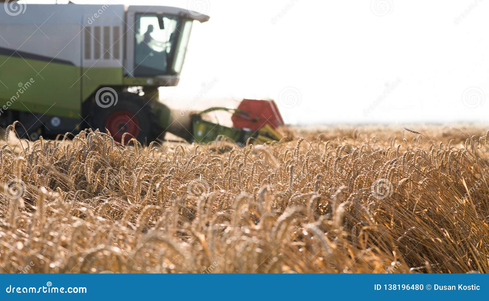 Harvesting of Wheat Field with Combine Stock Photo - Image of nature ...