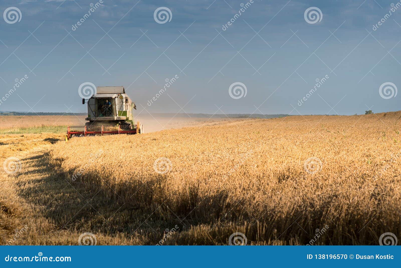 Harvesting of Wheat Field with Combine Stock Photo - Image of picker ...
