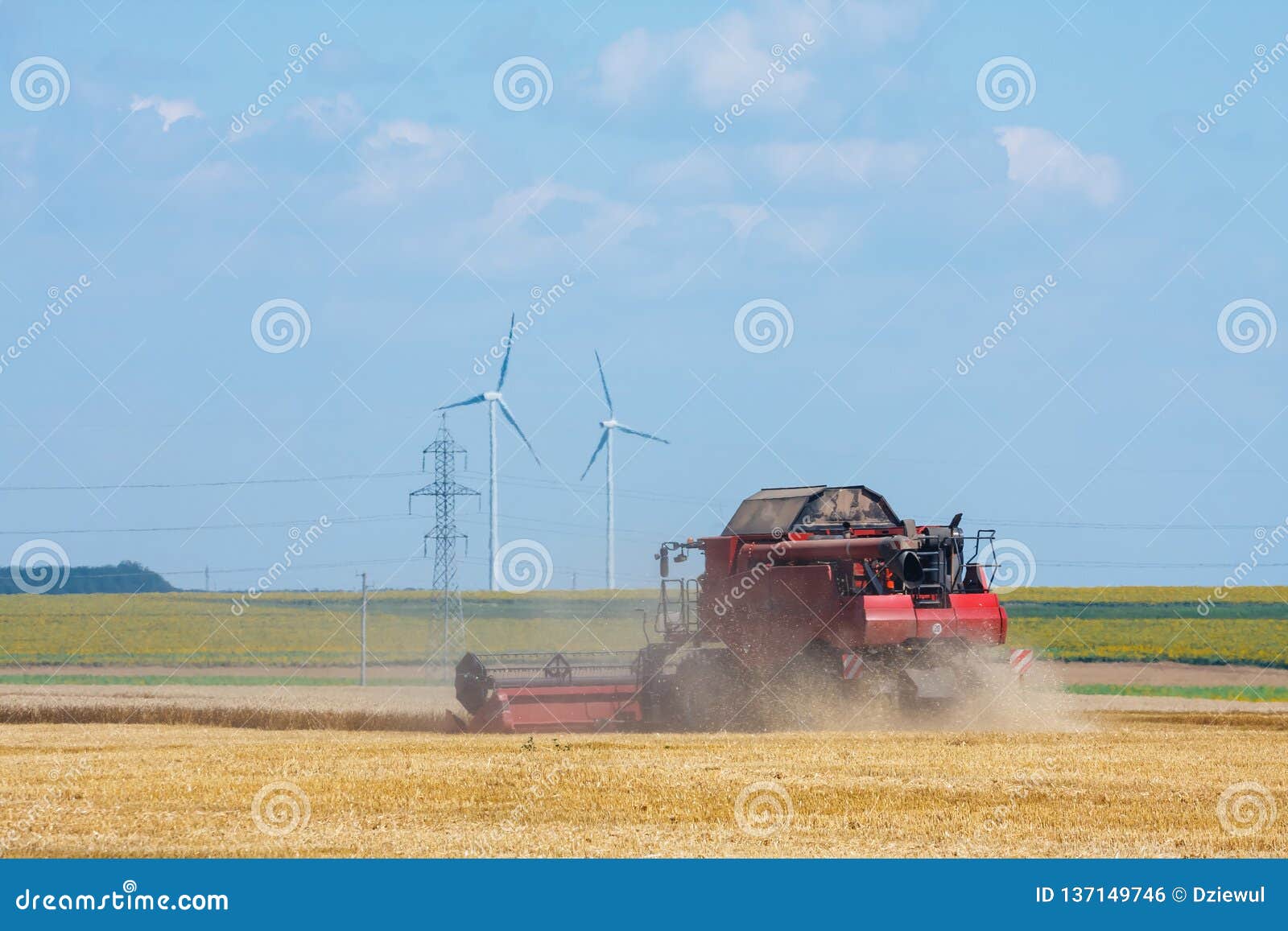 Wheat fields with combine stock photo. Image of plant - 137149746
