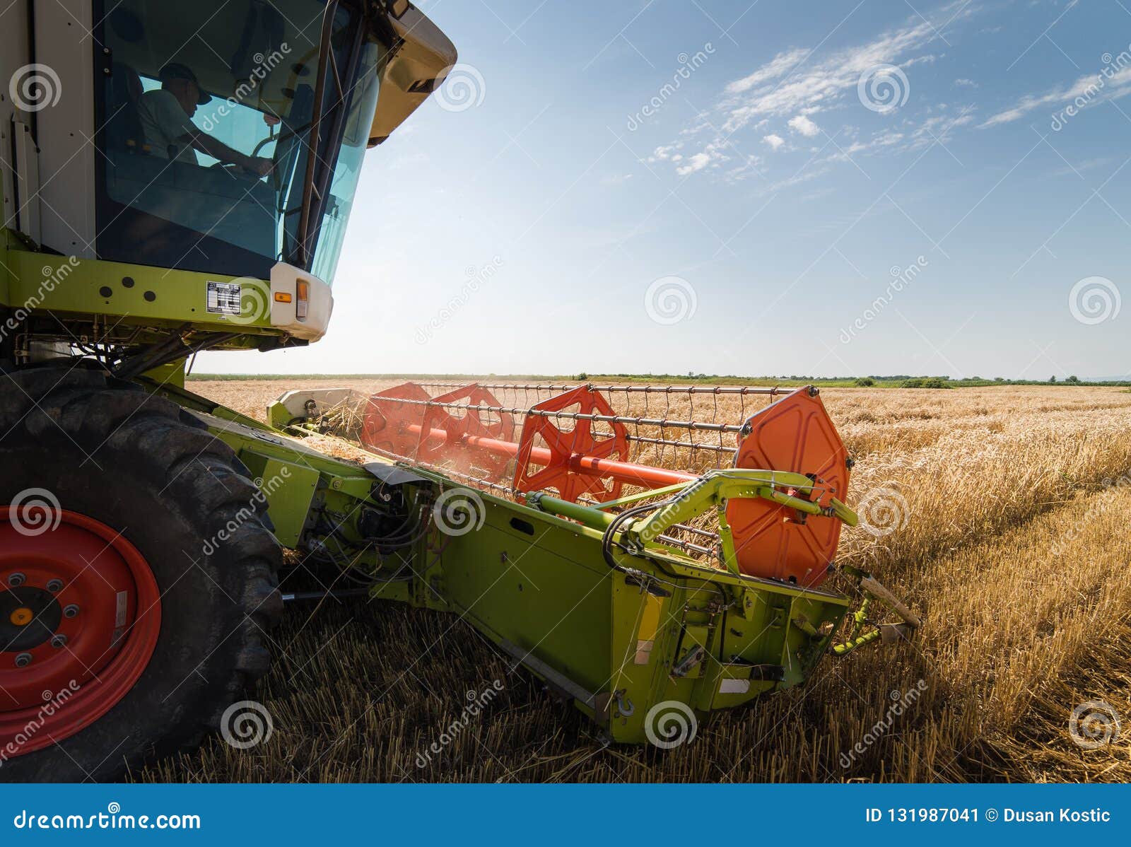 Harvesting of Wheat Field with Combine Stock Image - Image of field ...