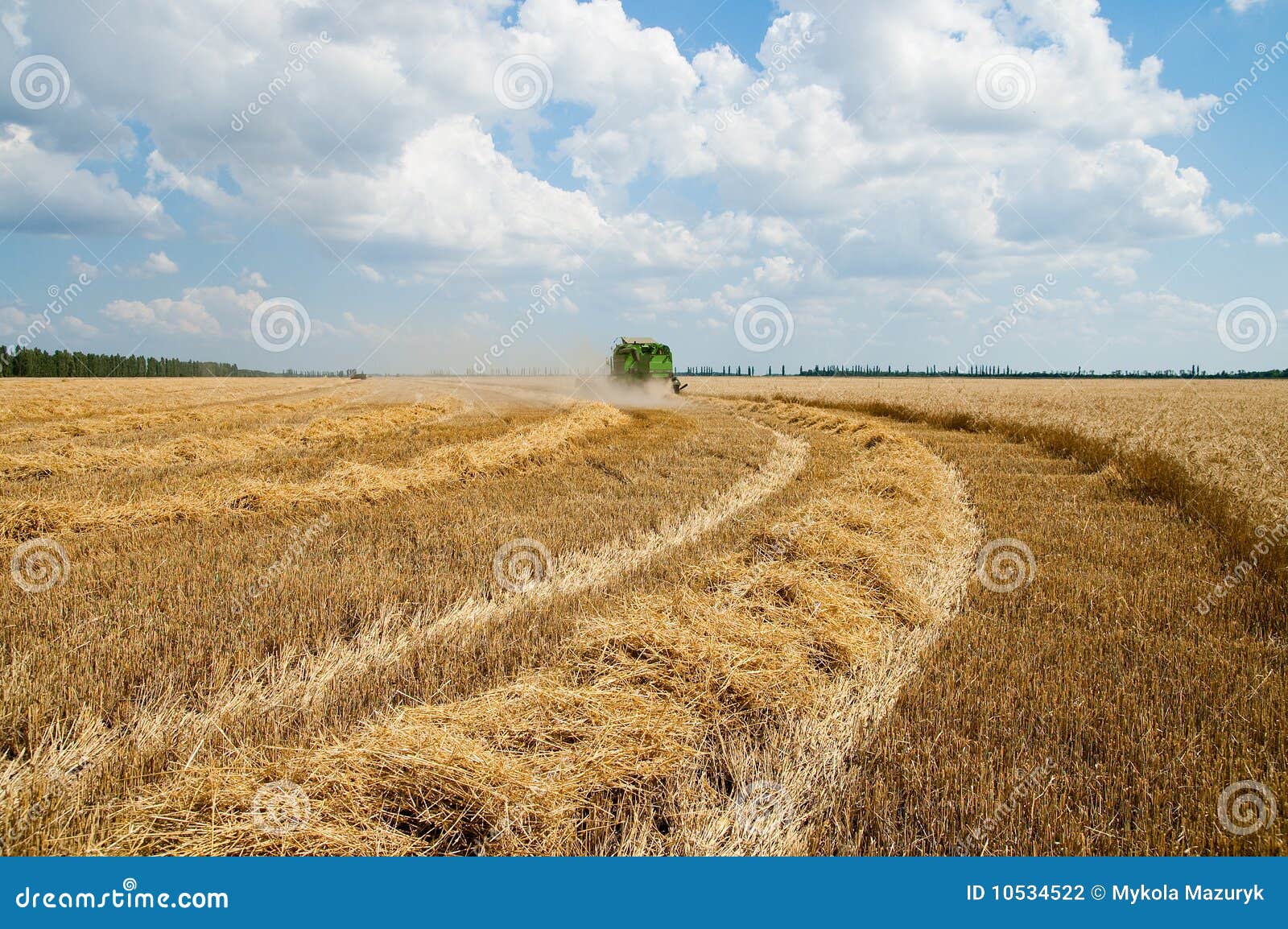 Harvesting and windrows stock photo. Image of corn, harvesting - 10534522