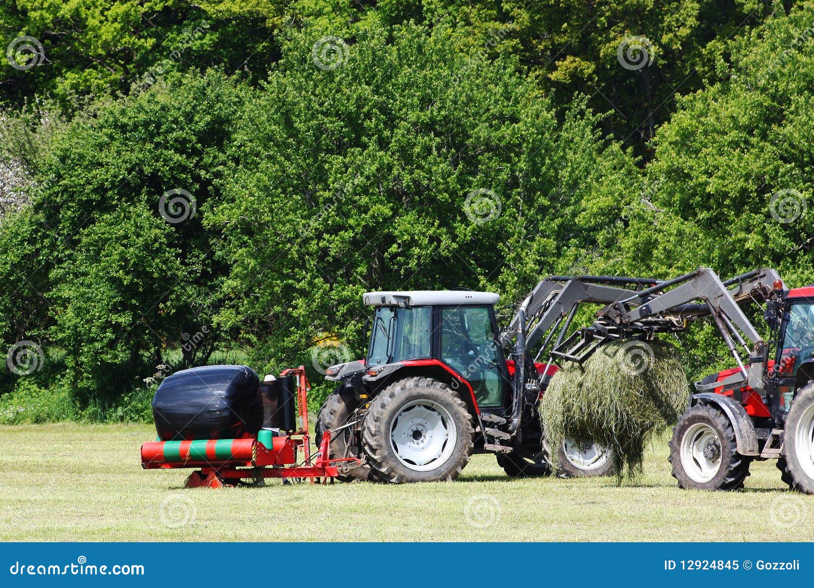 Harvesting and Wrapping Hay Bales Stock Image - Image of farming, dried ...