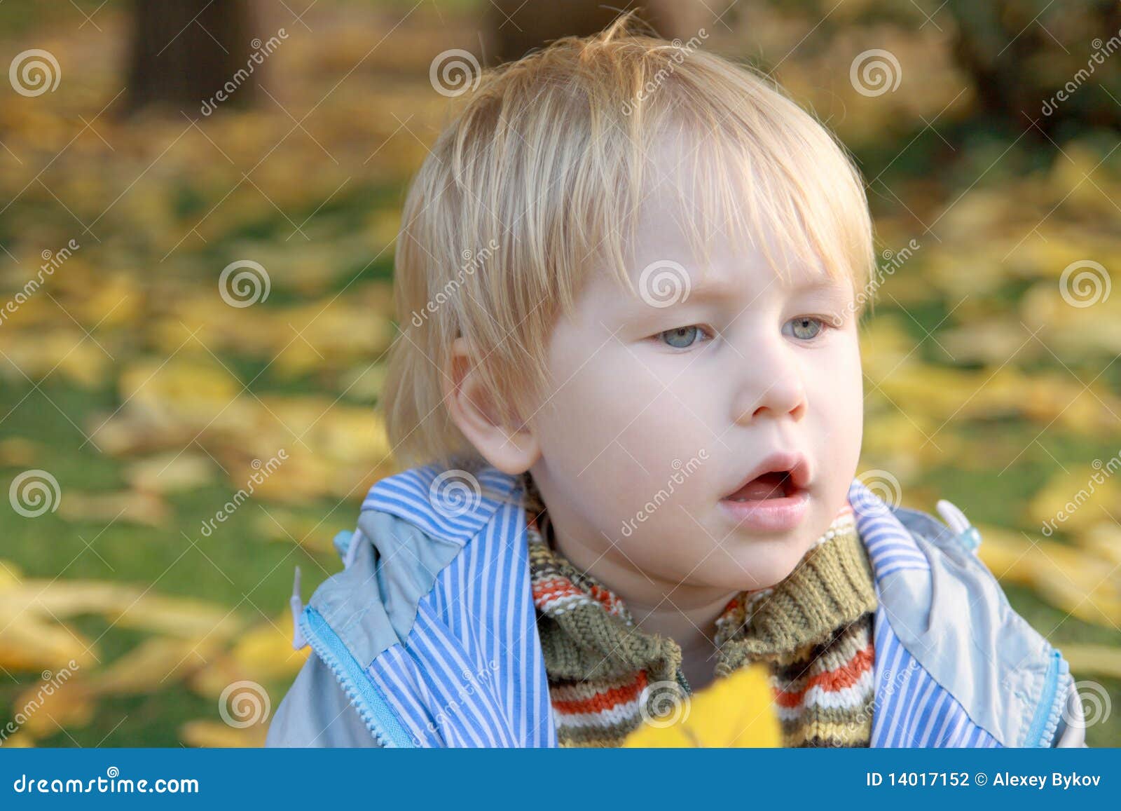 Has Opened a Mouth from Surprise! Stock Photo - Image of gaze, child ...