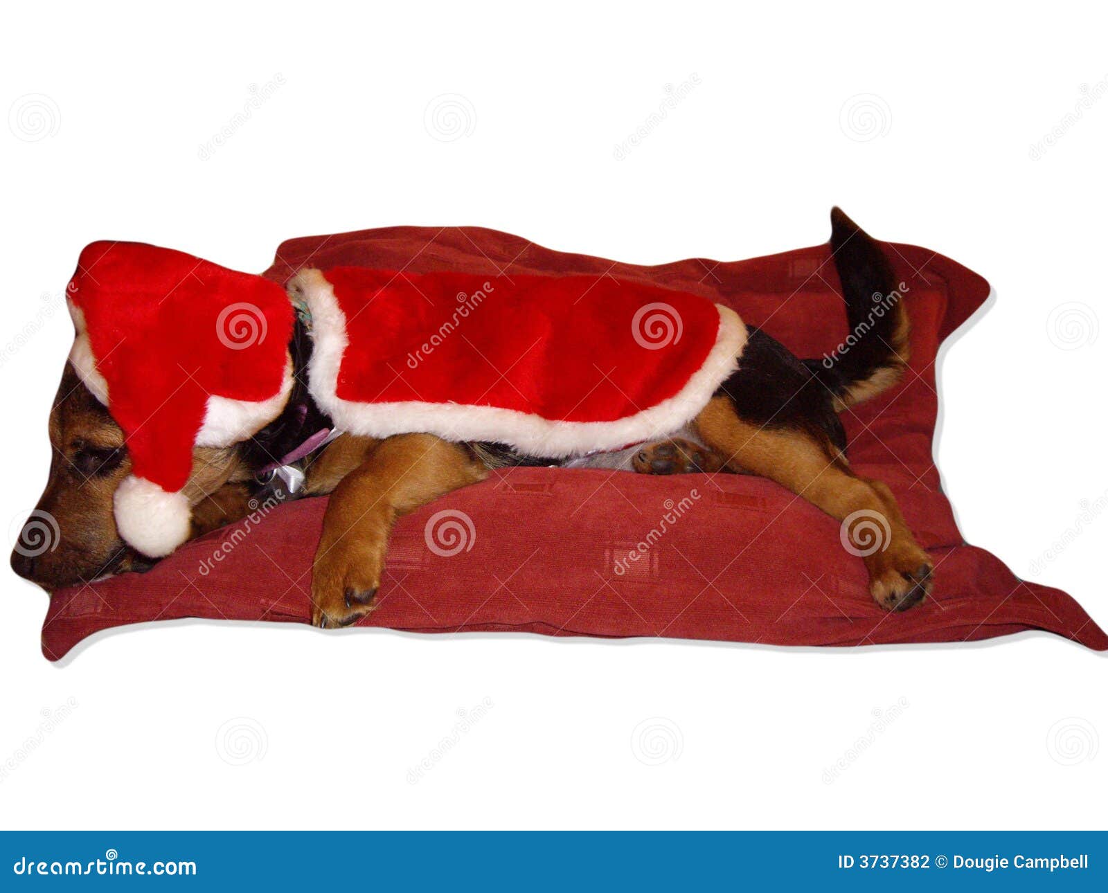 Has Santa been yet stock photo. Image of christmas, december - 3737382