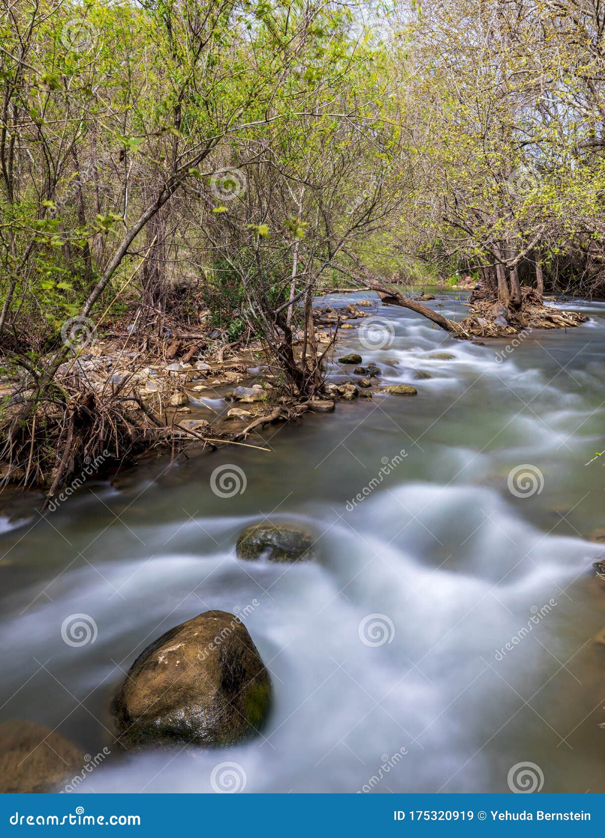 Hasbani River stock image. Image of brook, river, stream - 175320919