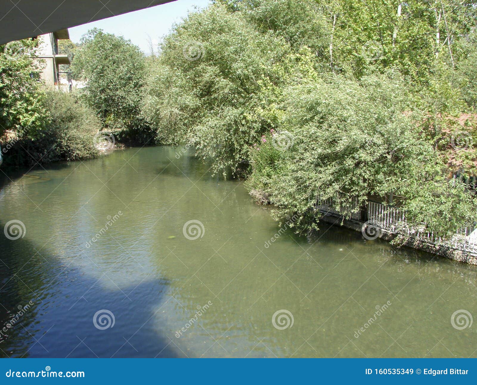 Hasbani River Located in South Lebanon Stock Image - Image of leaf ...