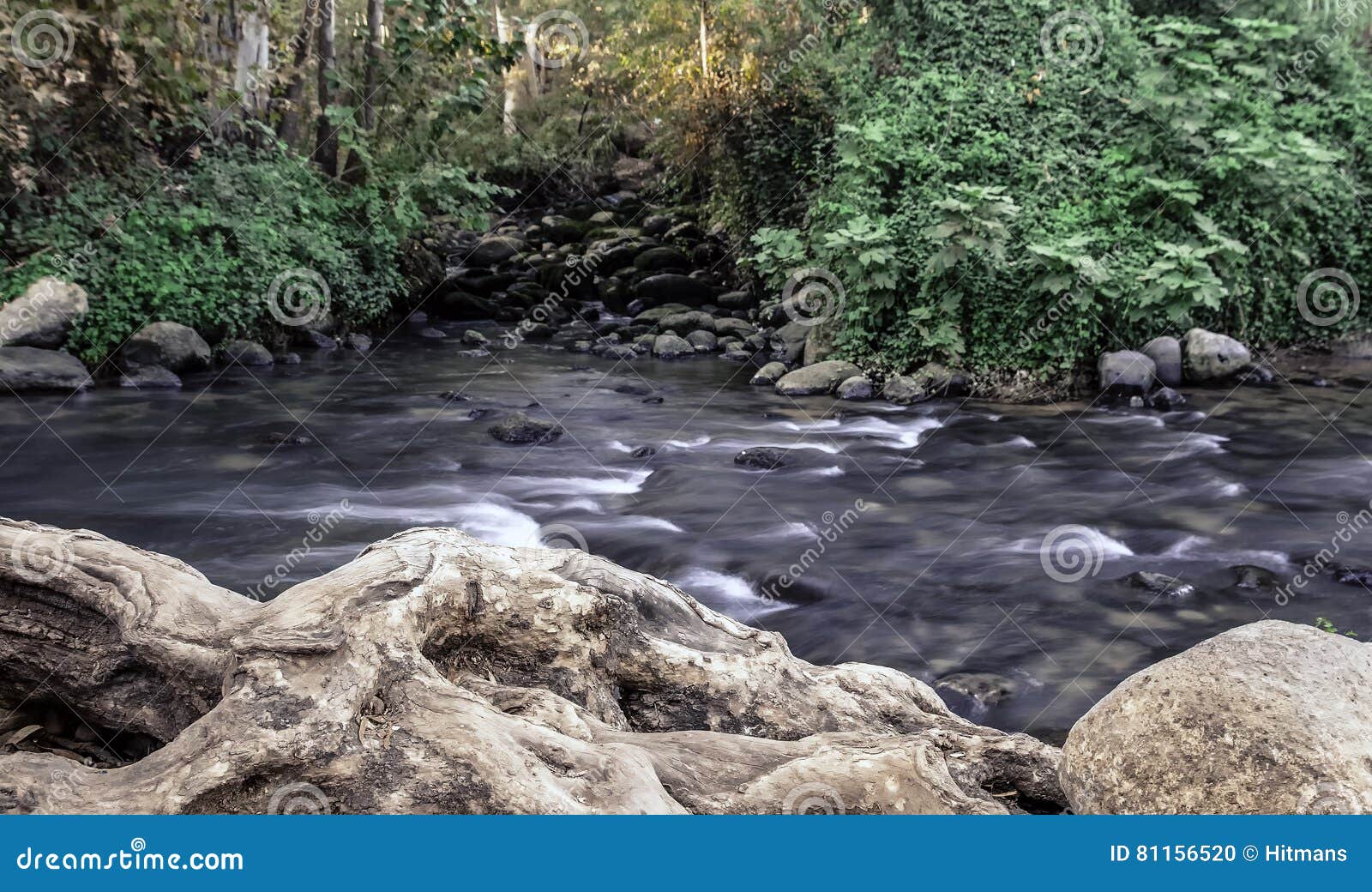Hasbani Snir River and Reservation in North Israel Stock Photo - Image ...