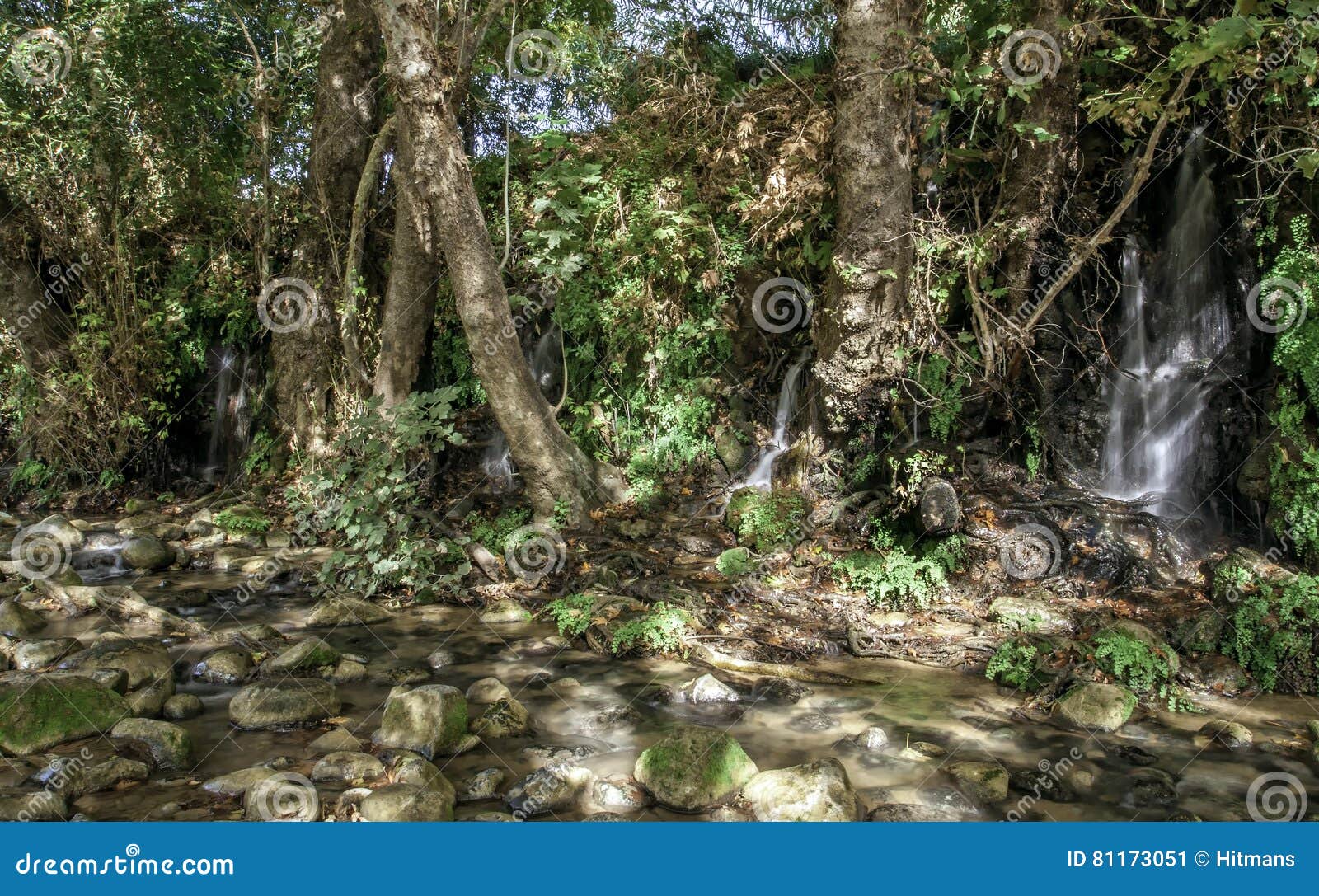Hasbani Snir River and Reservation in North Israel Stock Image - Image ...