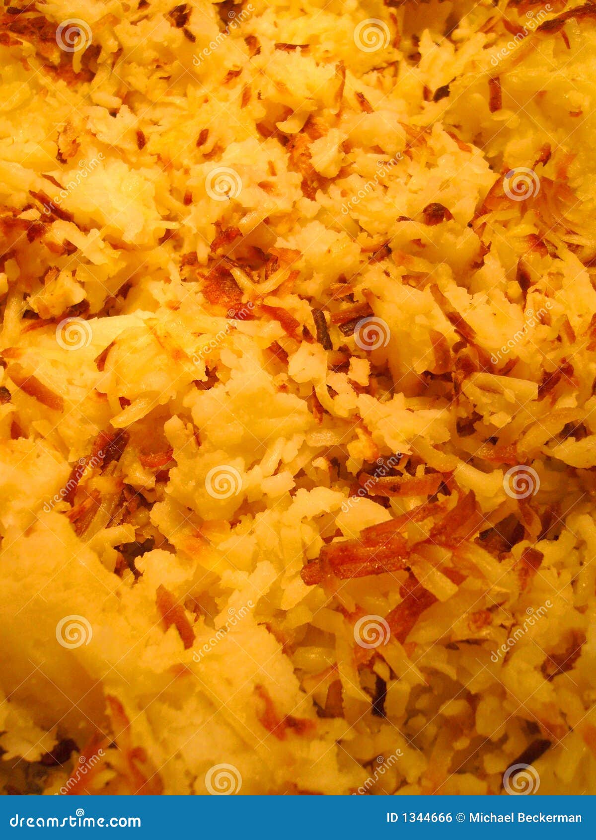 Hash Browns 1 stock photo. Image of cook, hash, meal, diet - 1344666