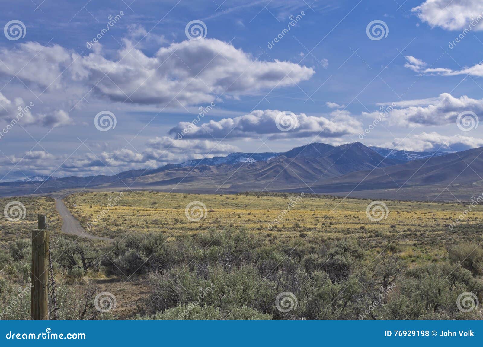 Haskell Peak with Great Basin Flora and Sierra NV Backdrop Stock Photo ...