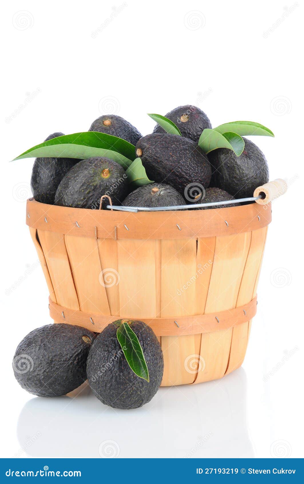 Hass Avocados in Basket stock image. Image of hass, black - 27193219