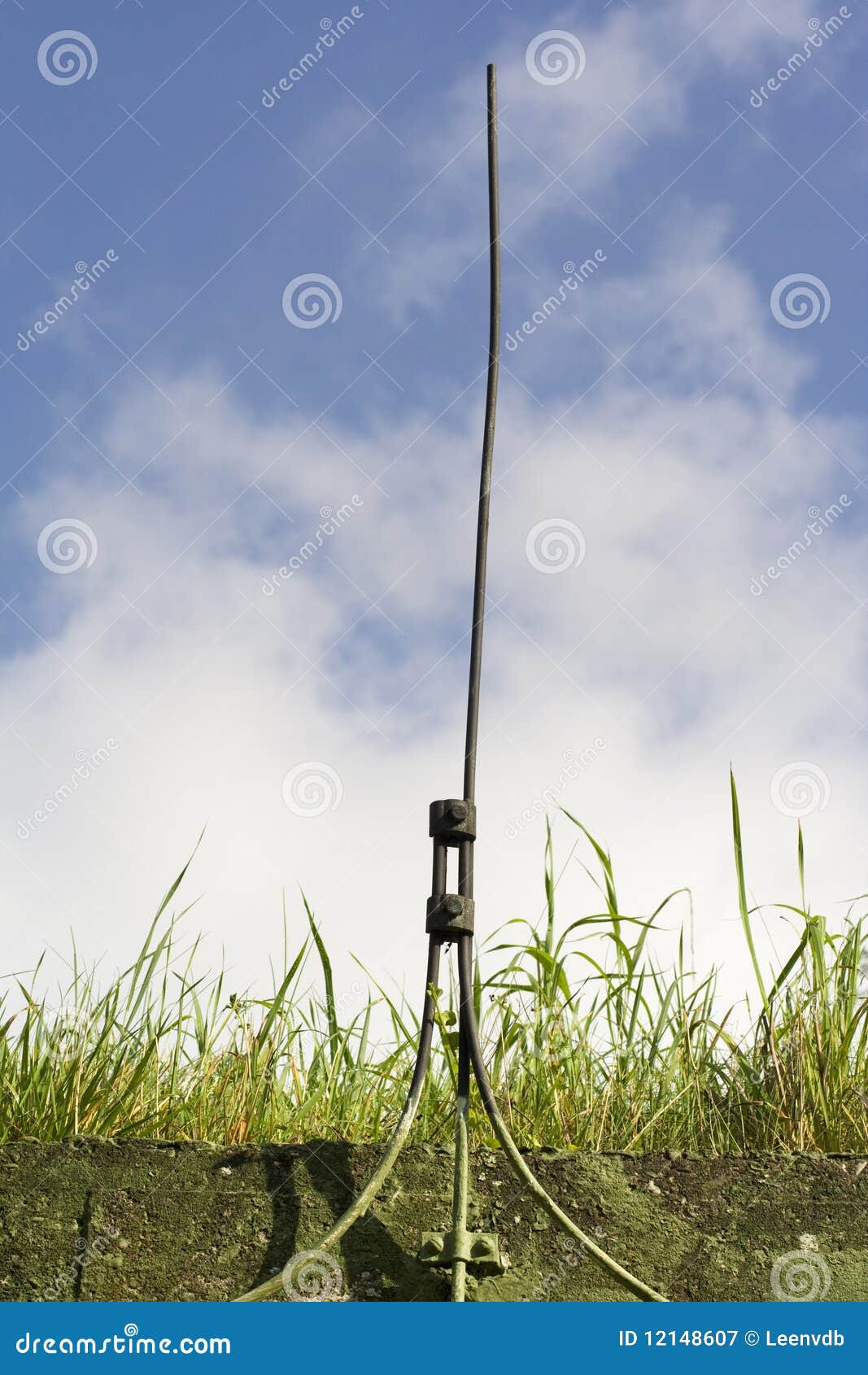 Haste de relâmpago imagem de stock. Imagem de maestro - 12148607