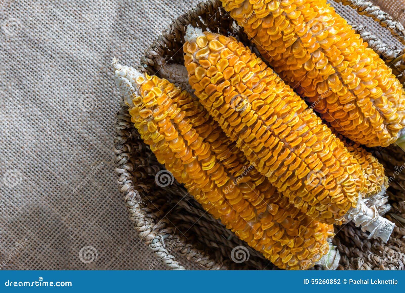 Haste Secada Do Milho Na Cesta No Gunny Foto de Stock - Imagem de fundo ...