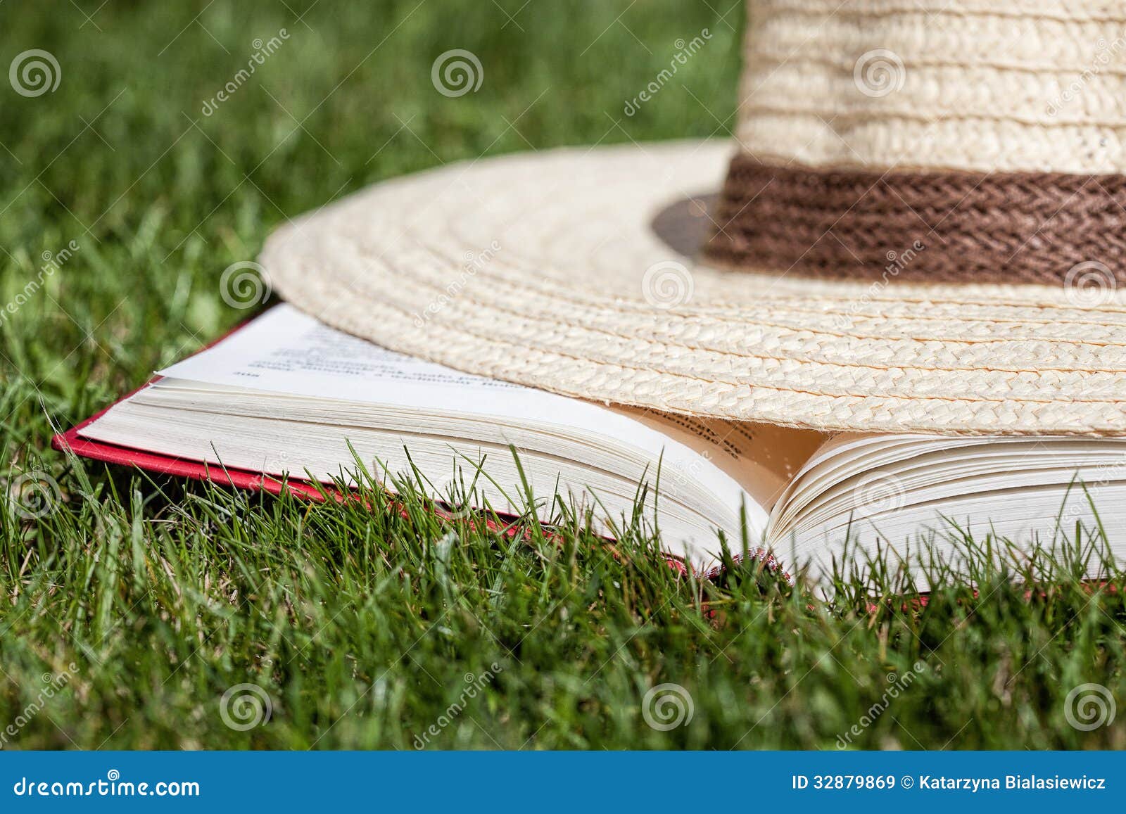 Hat on a book stock image. Image of hobby, page, grass - 32879869