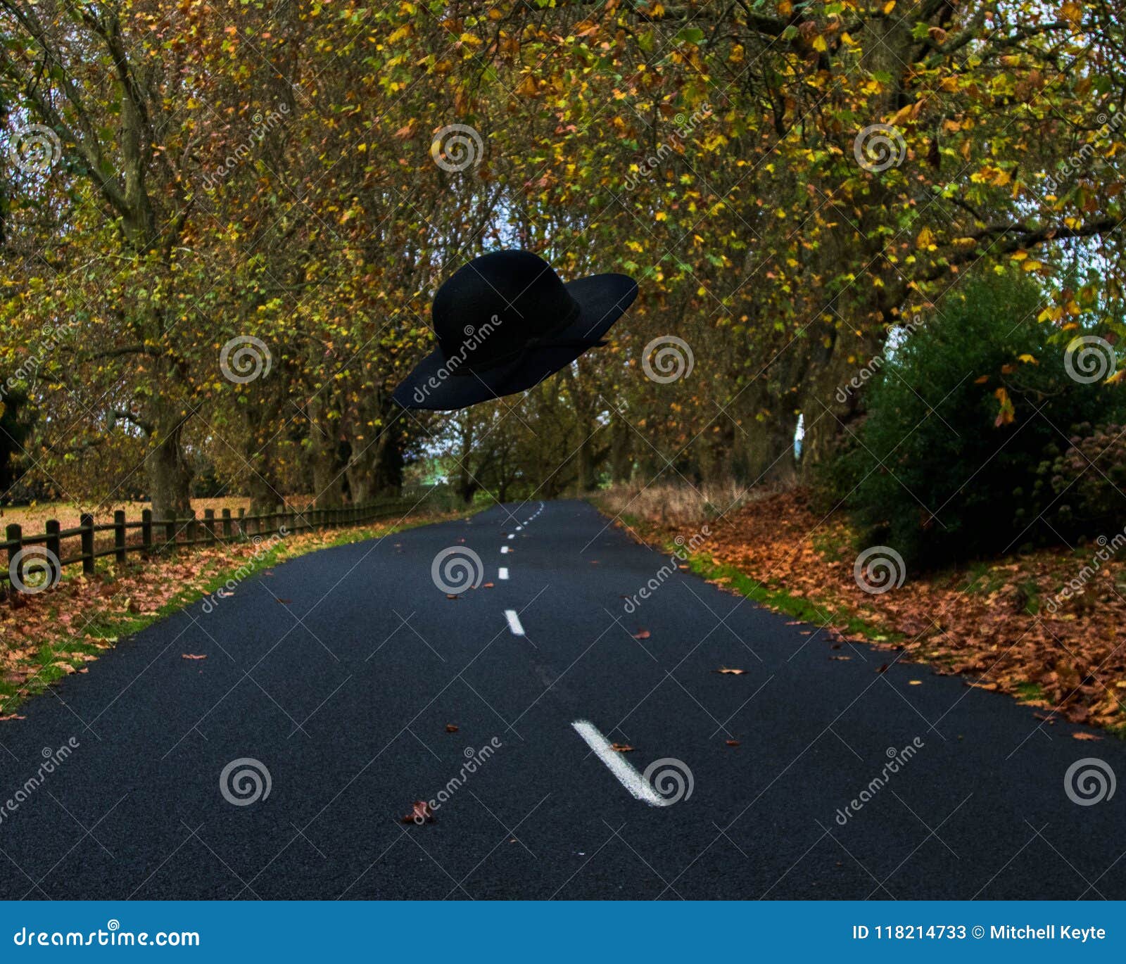 Hat Flying in the Autumn Wind Stock Image - Image of wind, blowing ...