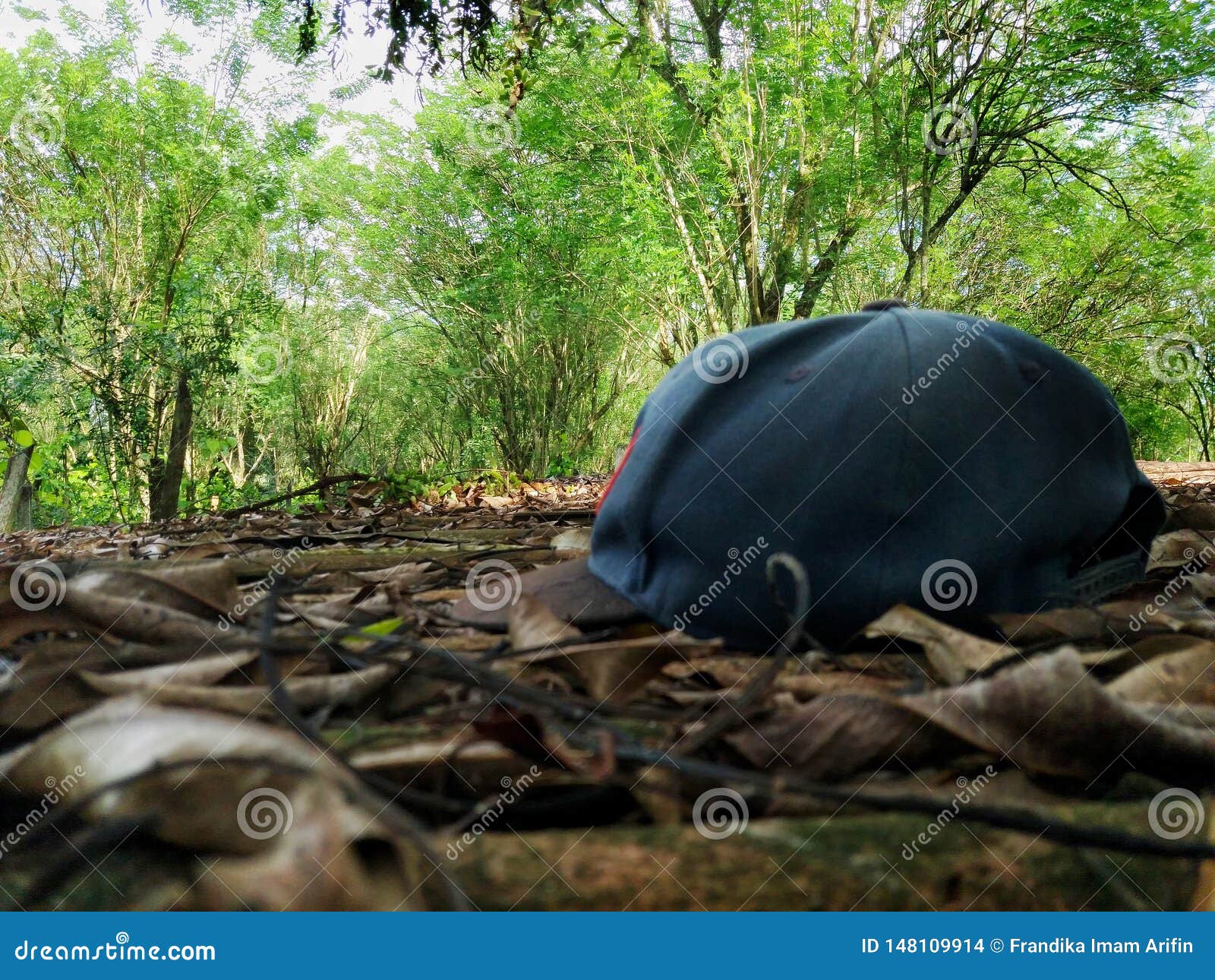 Hat in the forest stock photo. Image of nature, greenery - 148109914
