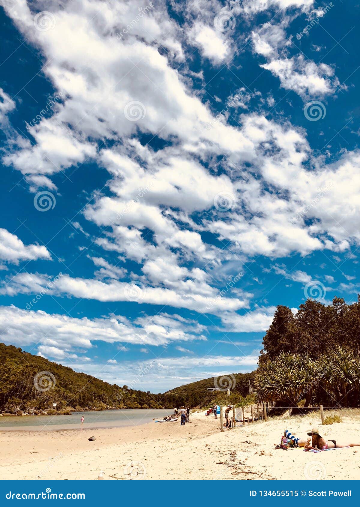 Hat Head Beach editorial image. Image of beach, head - 134655515