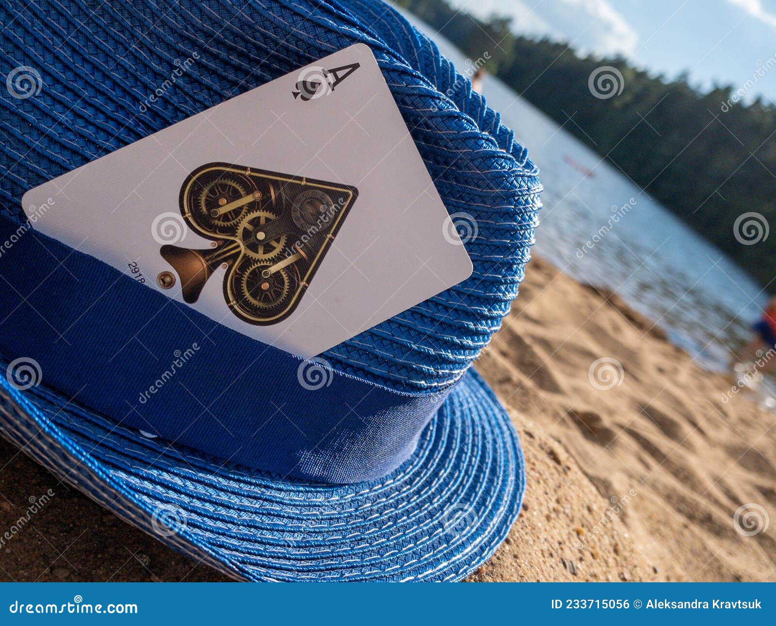 Hat and playing card stock photo. Image of pattern, brand - 233715056