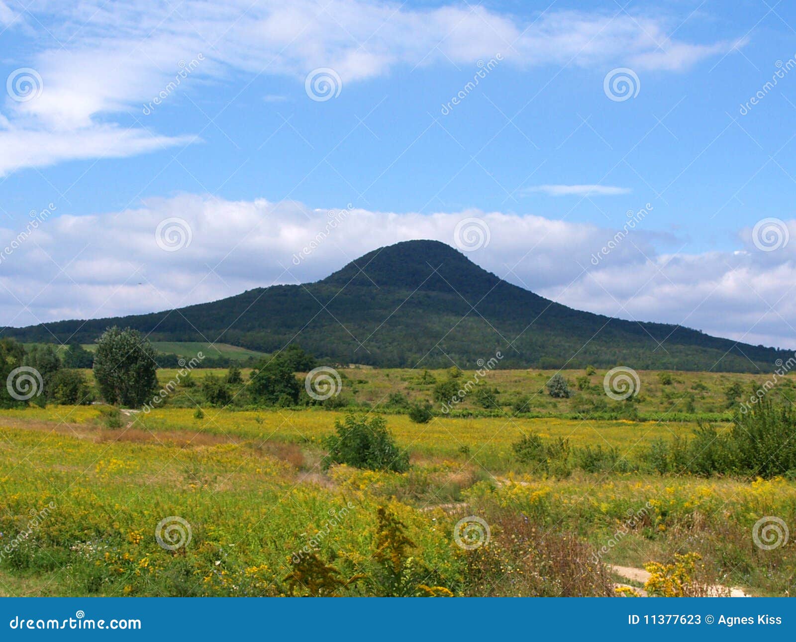 The hat shaped hill stock image. Image of hill, grass - 11377623