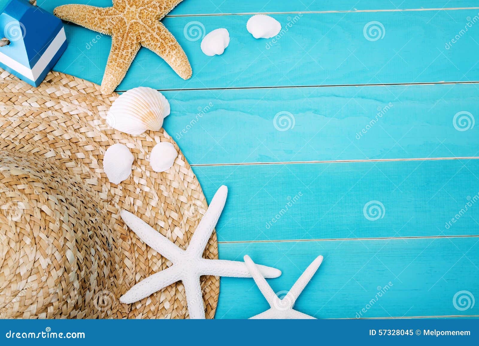 768 Cool Shells Stock Photos - Free & Royalty-Free Stock Photos from ...