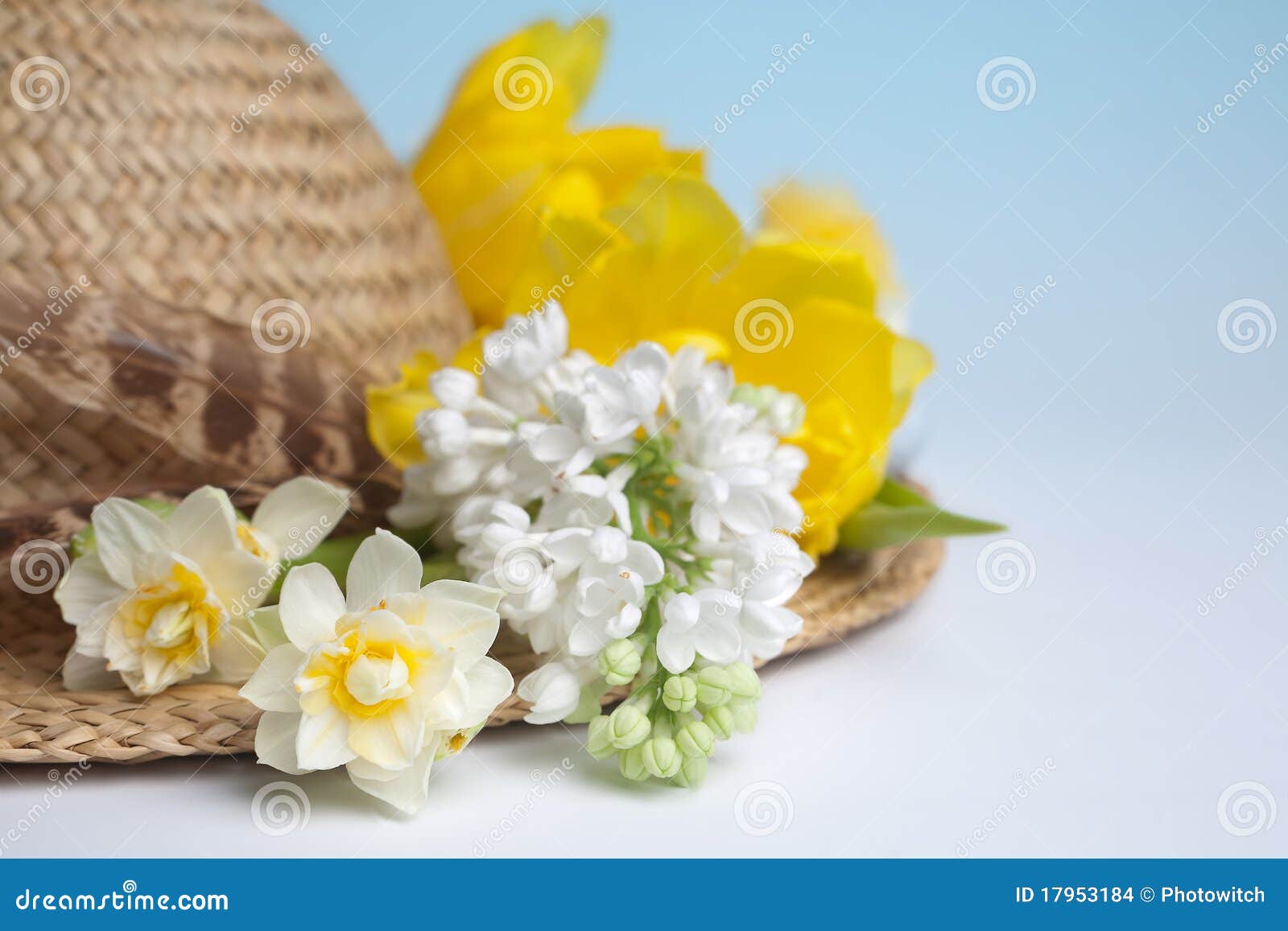 Hat with spring flowers stock photo. Image of copy, romantic - 17953184