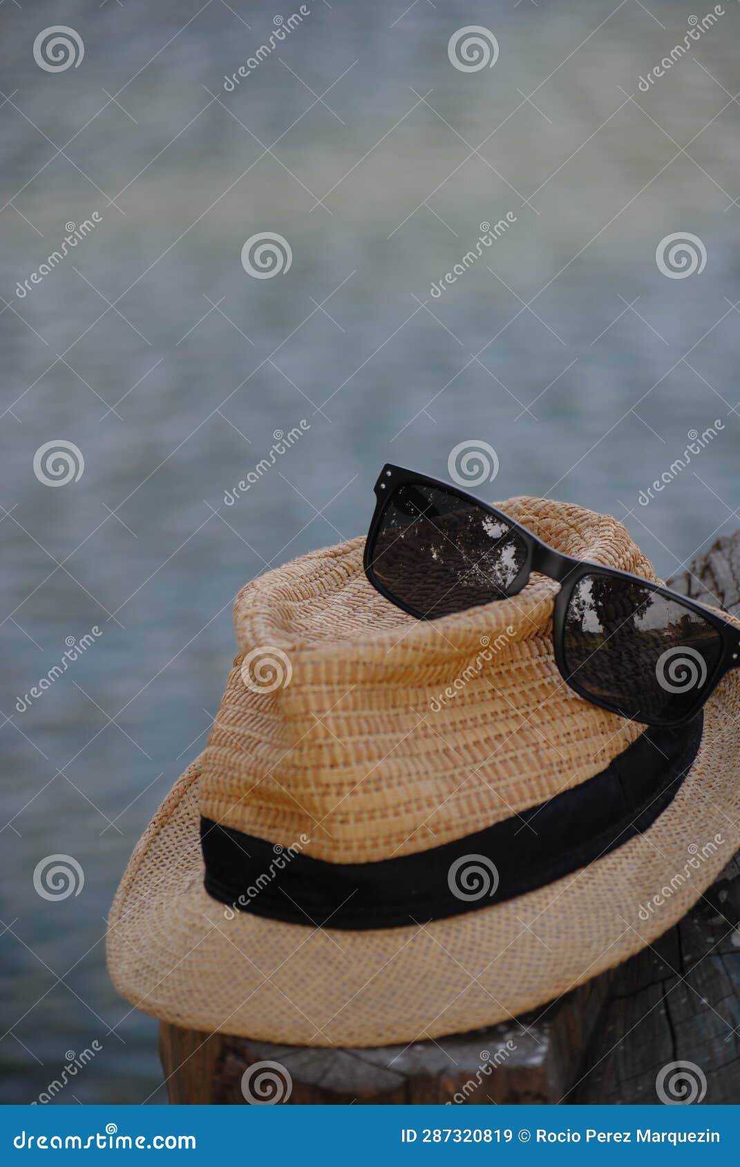 Hat and Sunglasses on a Trunk Stock Image - Image of clothing, footwear ...