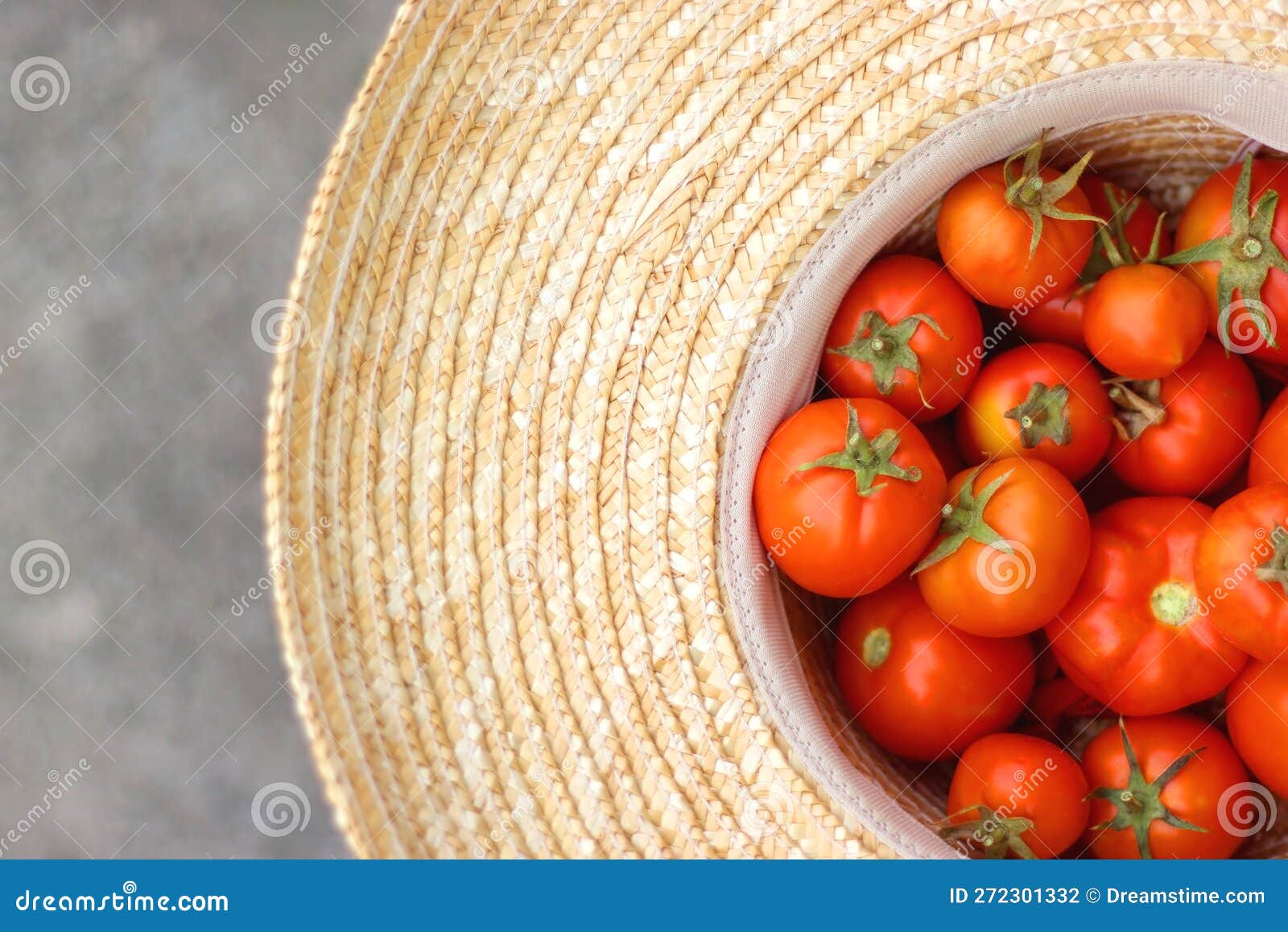 Hat and Tomatoes stock photo. Image of woven, based - 272301332