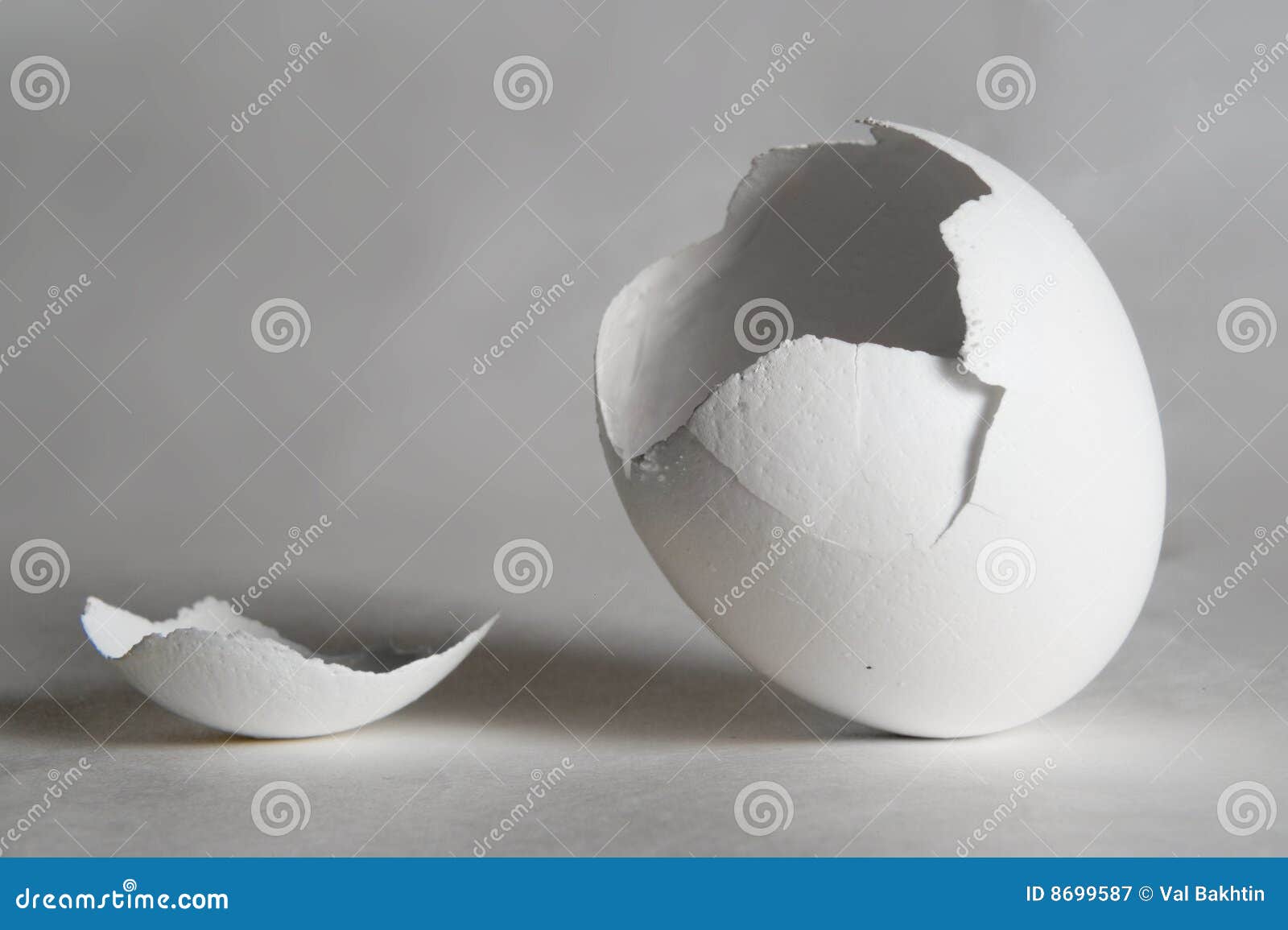 Hatched stock image. Image of fragile, birth, white, fragility - 8699587