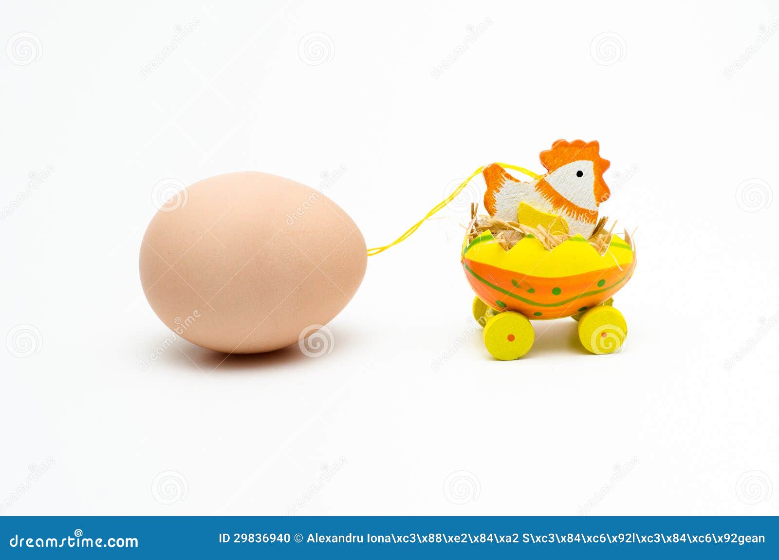 A chicken towing an egg stock photo. Image of chicken - 29836940