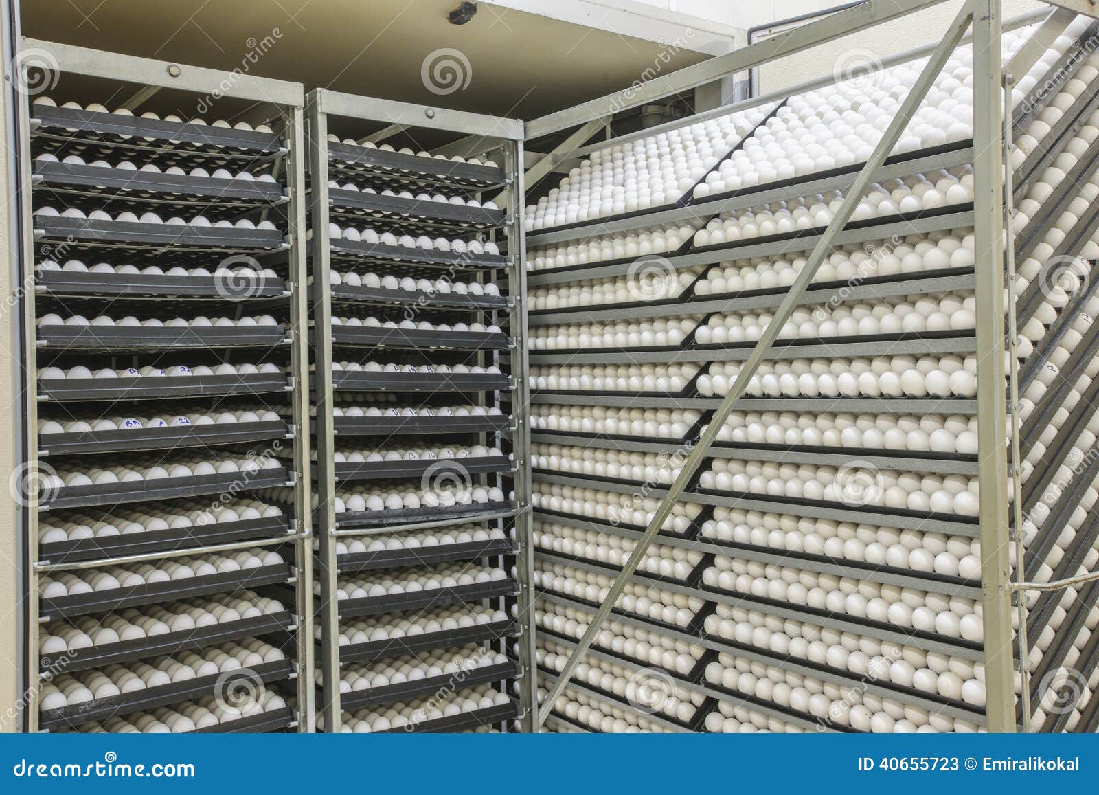 Hatchery stock image. Image of stack, factory, tray, production - 40655723