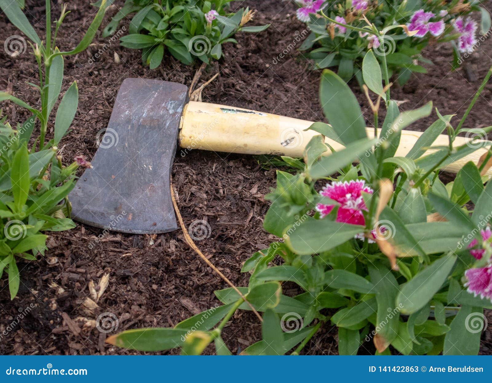 A Hand Axe in the Garden stock image. Image of dirt - 141422863