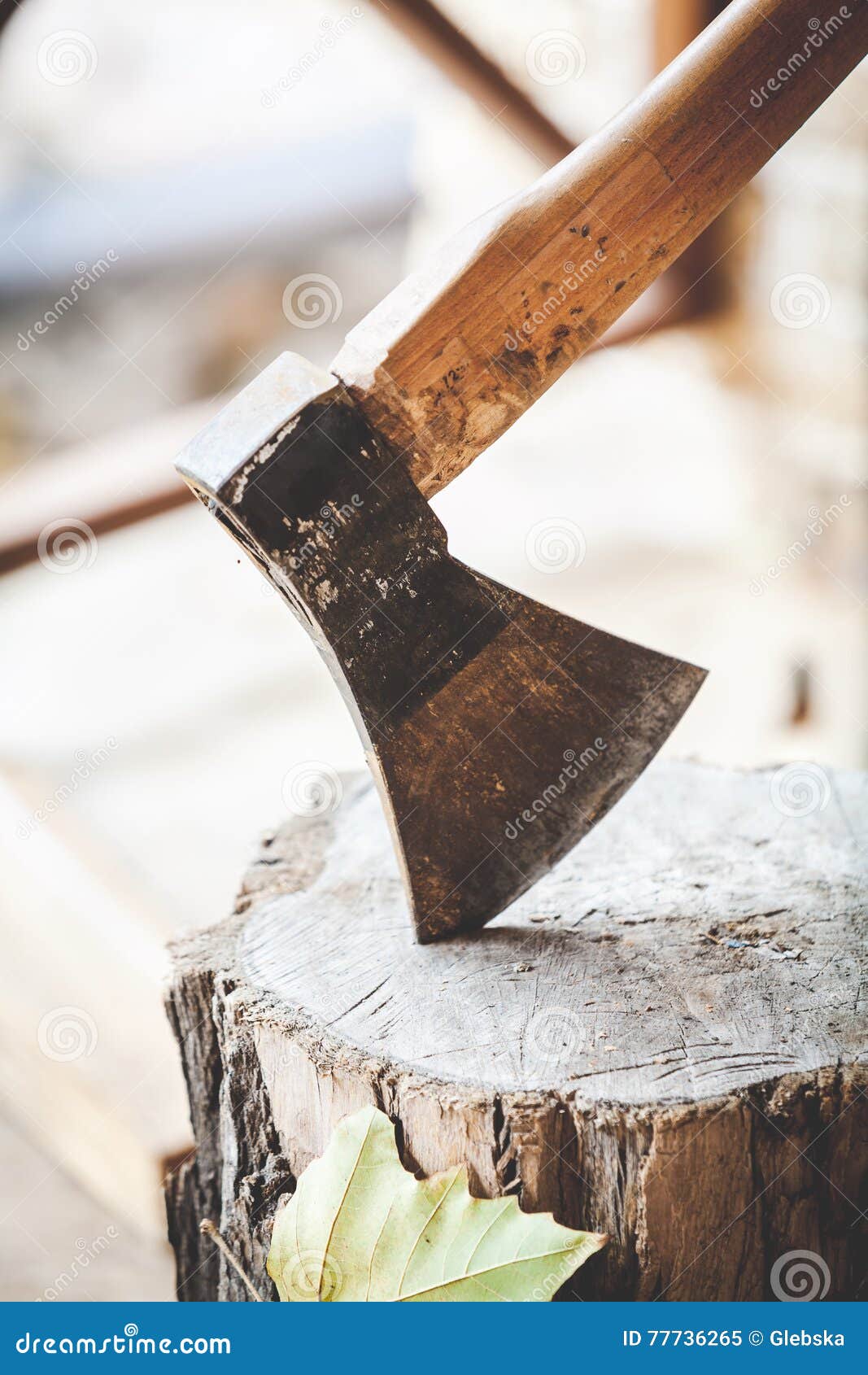 Hatchet Sticking in Stump Close-up Stock Image - Image of flushing ...