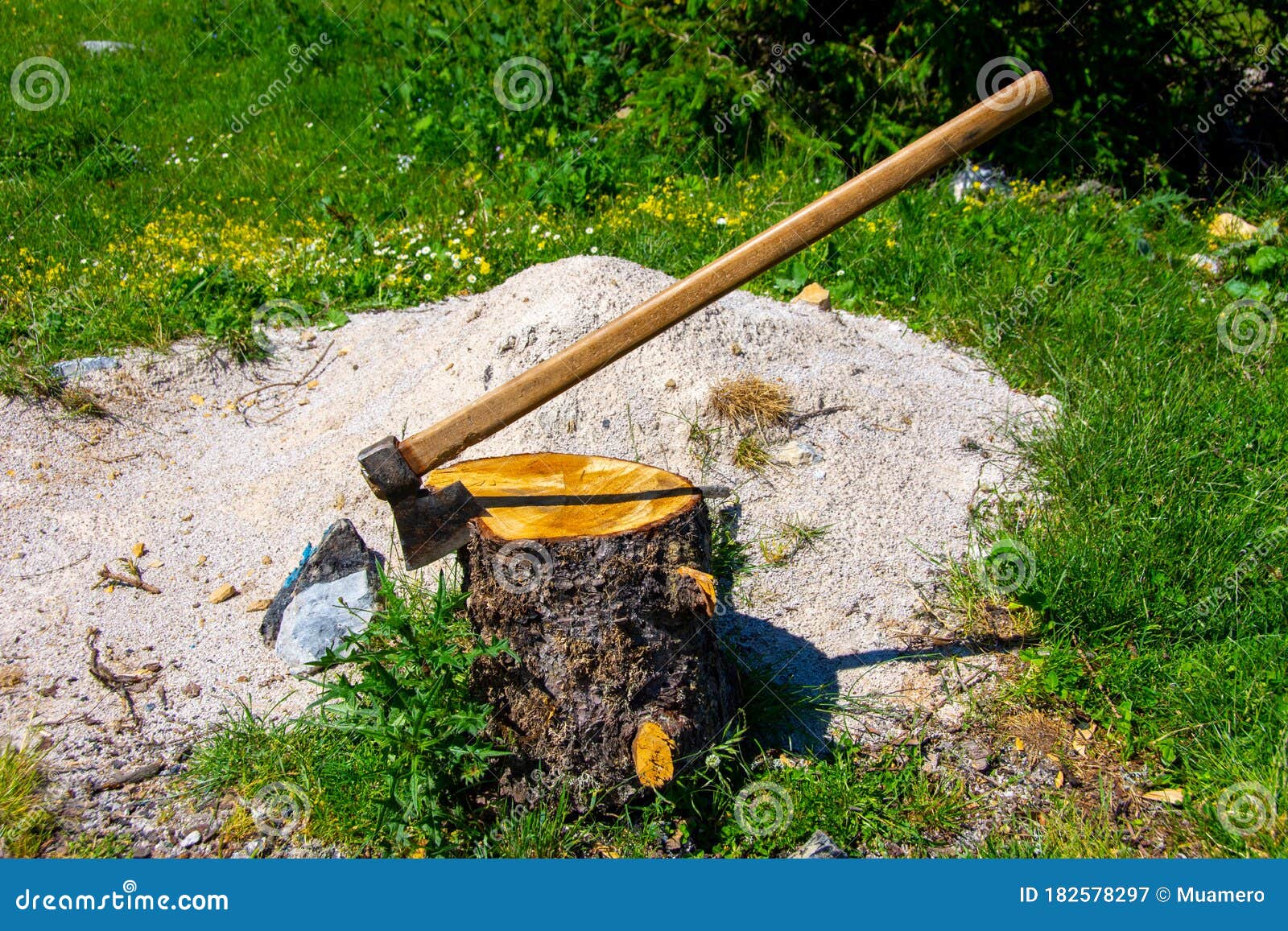 The Hatchet Stump into the Wood Stump Stock Image - Image of iron ...