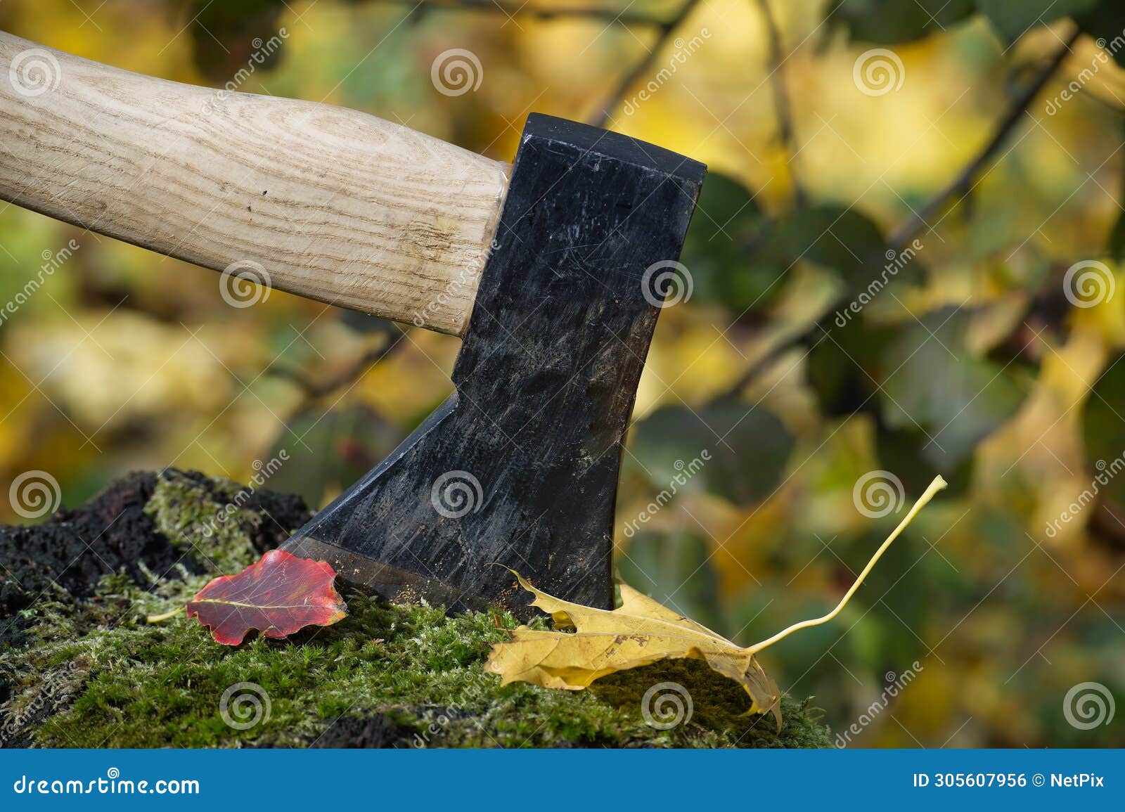 Hatchet with Wooden Handle Lodged into Tree Stump Stock Photo - Image ...