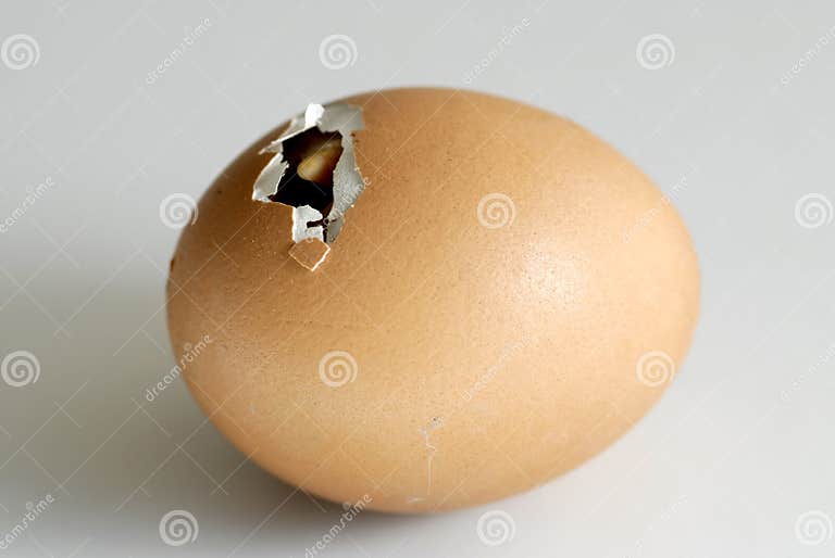 Hatching 2 stock image. Image of small, yellow, bird, light - 1376053