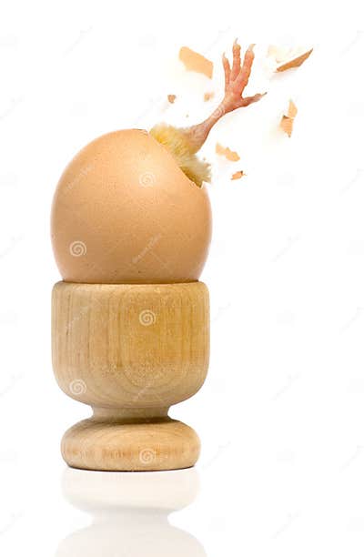Chick Escaping Breaking Egg Shell Freedom Stock Image - Image of ...