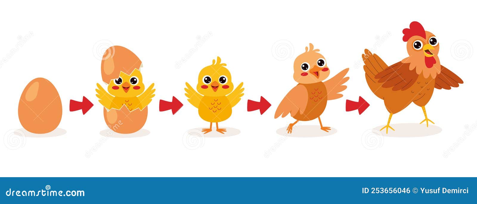 Hatching and Growing Process of Chicken Stock Illustration ...