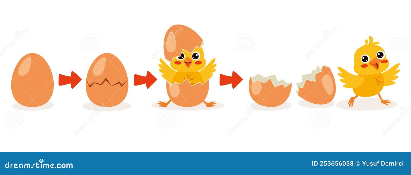 Hatching Process. Vector Cartoon Illustration. White Background ...