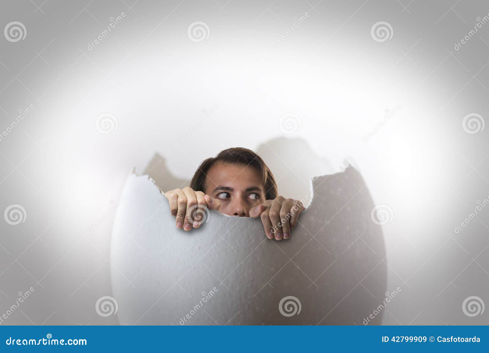 Hatching stock image. Image of animal, outer, shallow - 42799909