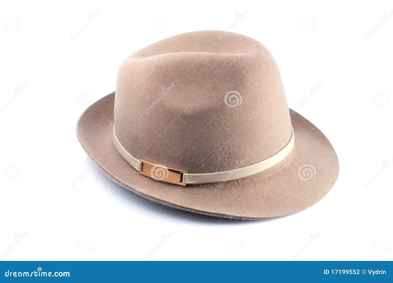 Hatt arkivfoto. Bild av filt, huvudbonad, mode, medf8ort - 17199552