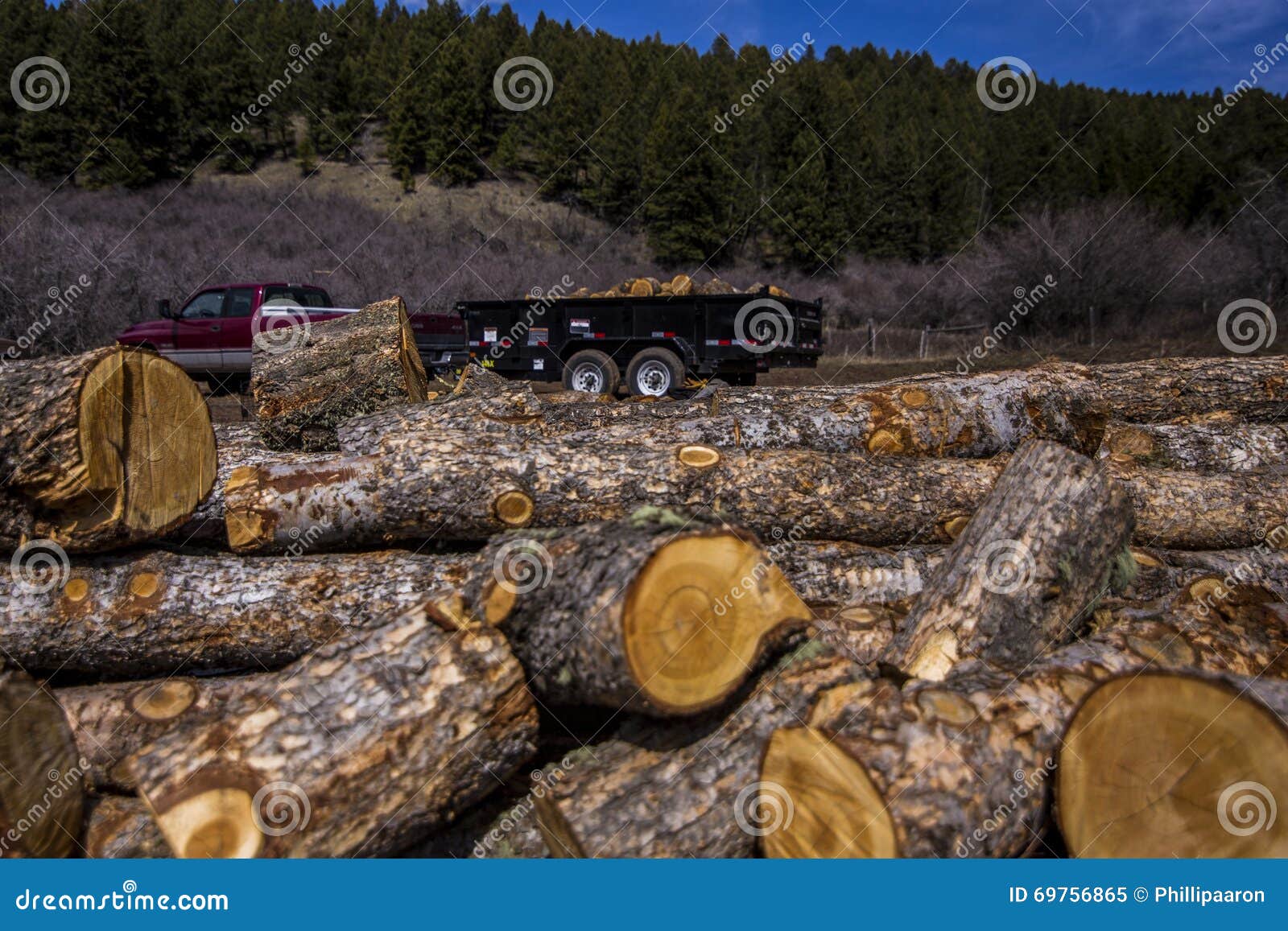 Hauling Logs stock image. Image of lumber, employer, hauling - 69756865