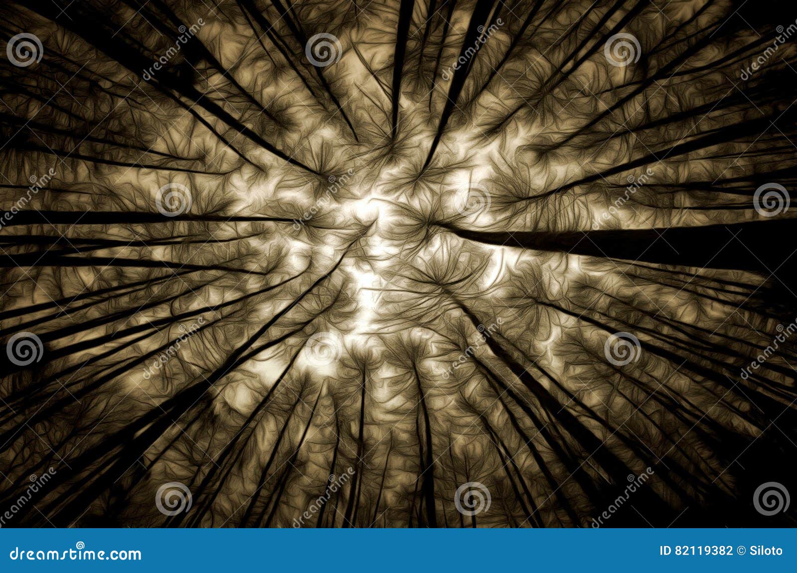 Haunted Forest stock illustration. Illustration of bare - 82119382