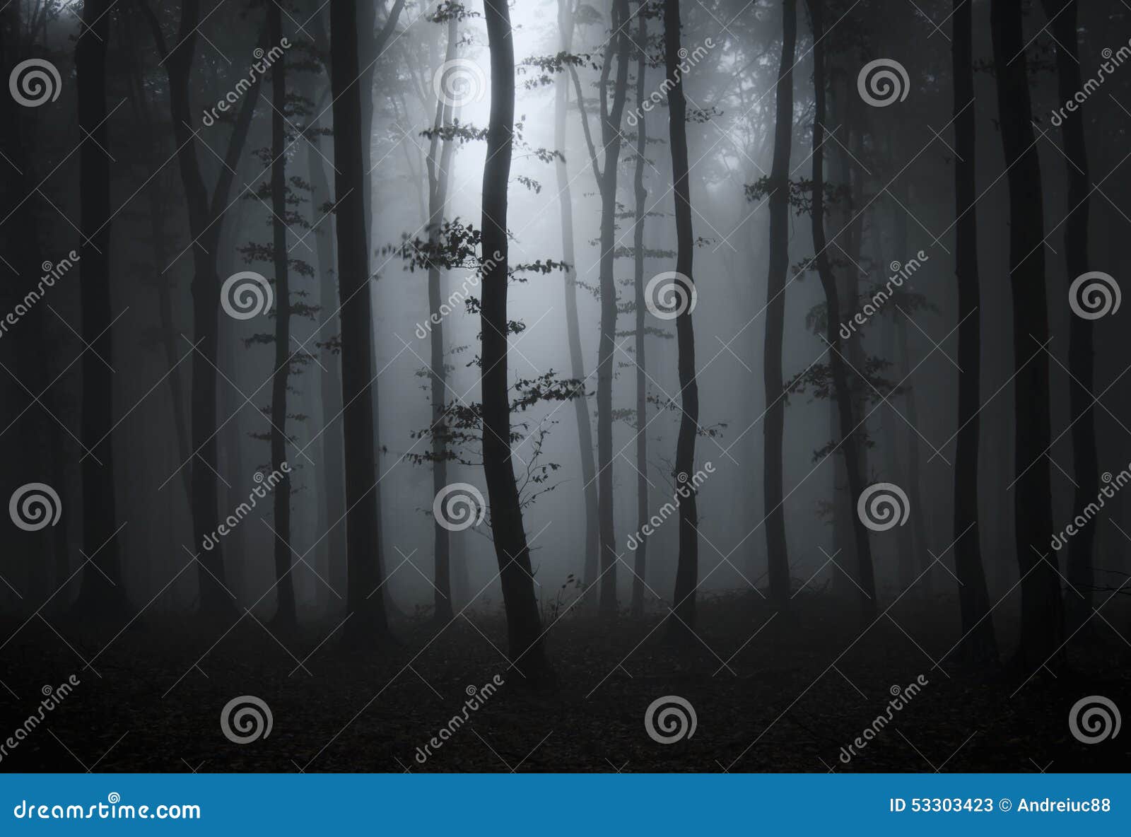 Haunted Forest with Fog on Halloween Stock Image - Image of mood ...