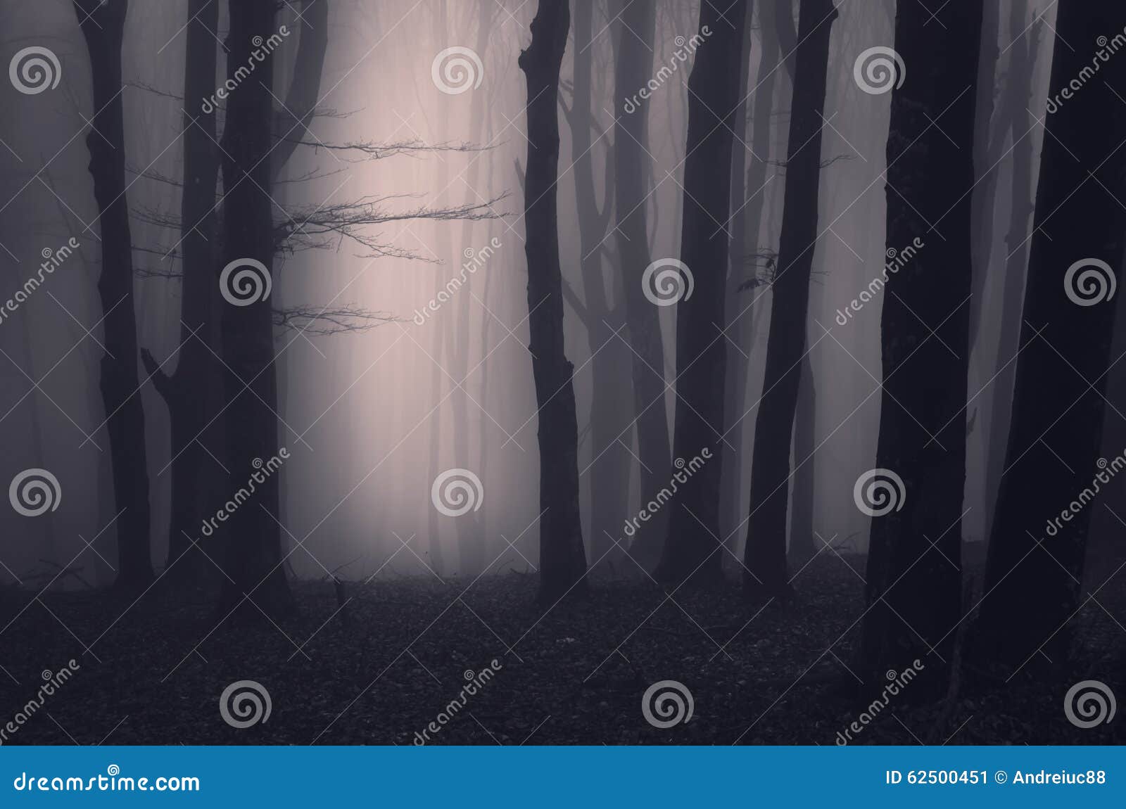 Haunted forest at night stock image. Image of dark, fall - 62500451