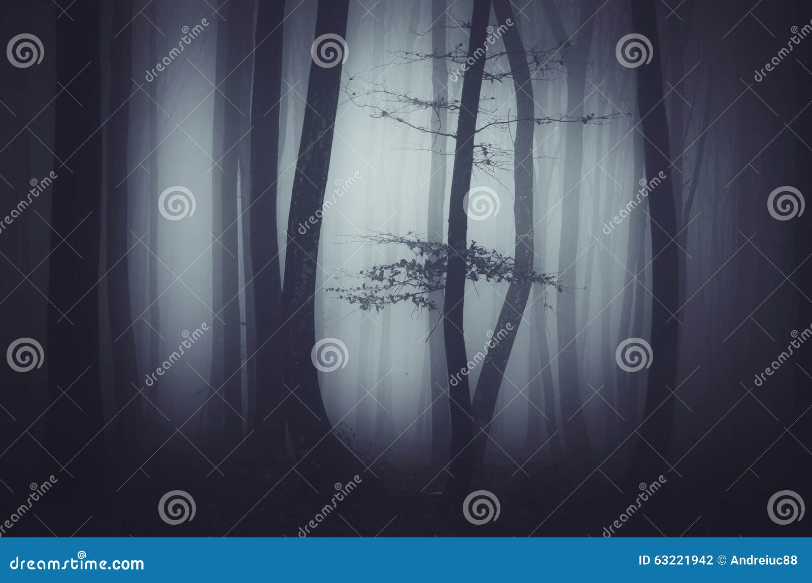 Haunted forest at night stock photo. Image of horror - 63221942